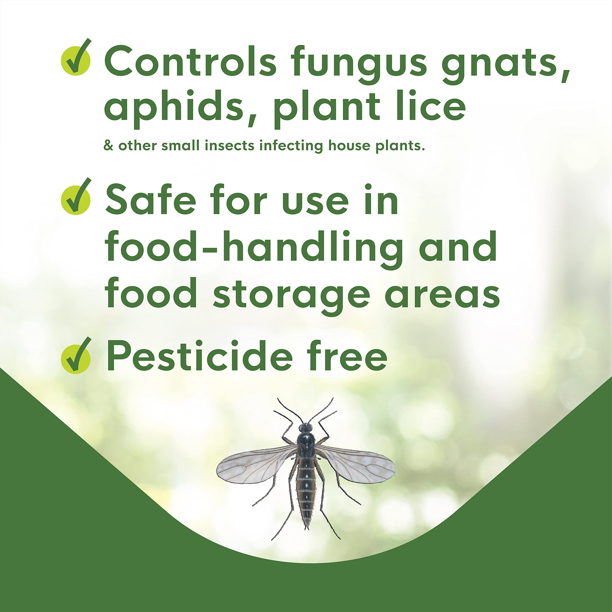 Enoz BioCare Gnat Stix Sticky Traps for Fungus Gnats Aphids Indoor ...