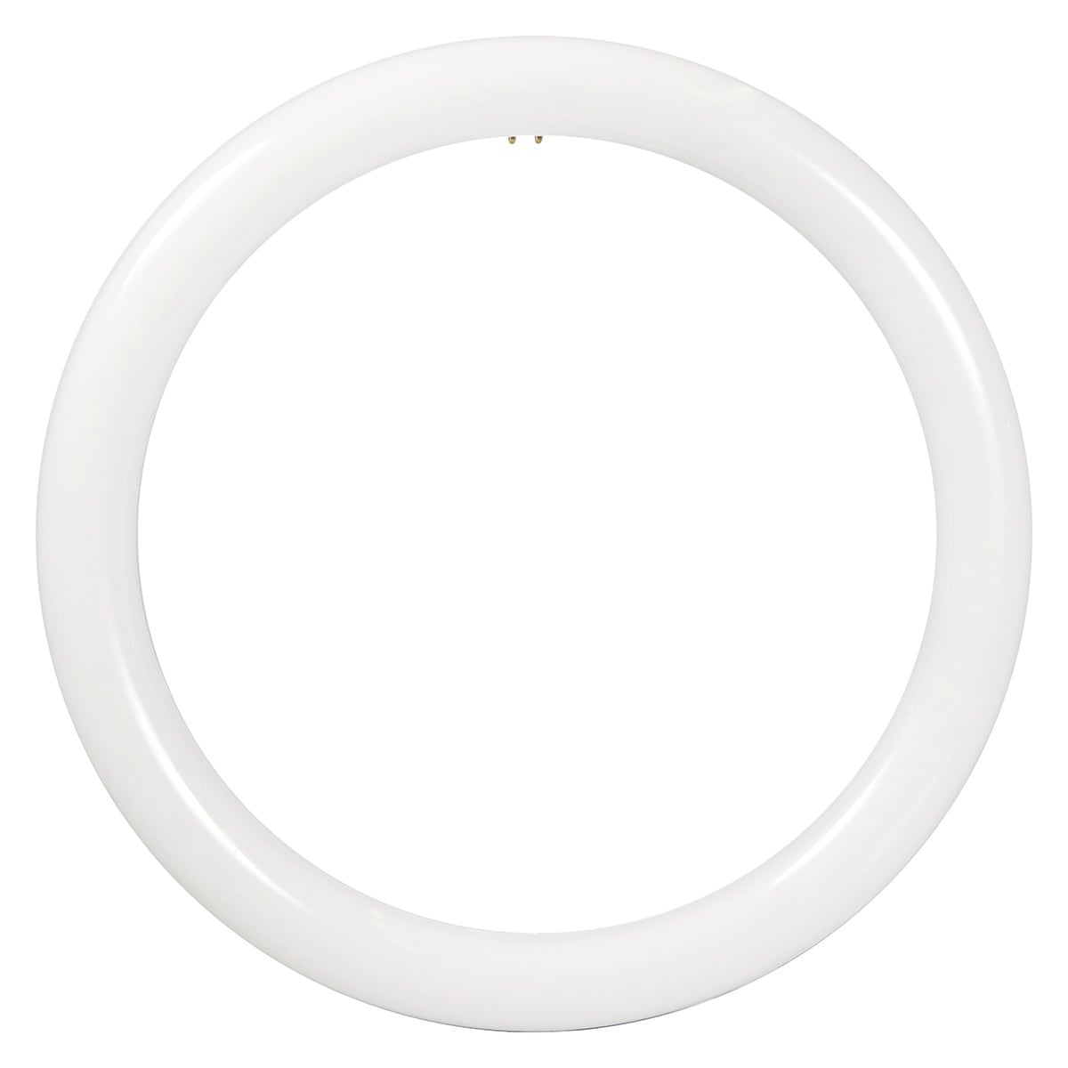 SYLVANIA 22 -Watt EQ T9 Cool white 4-pin circline Fluorescent Tube Light Bulb in the Tube Light ...