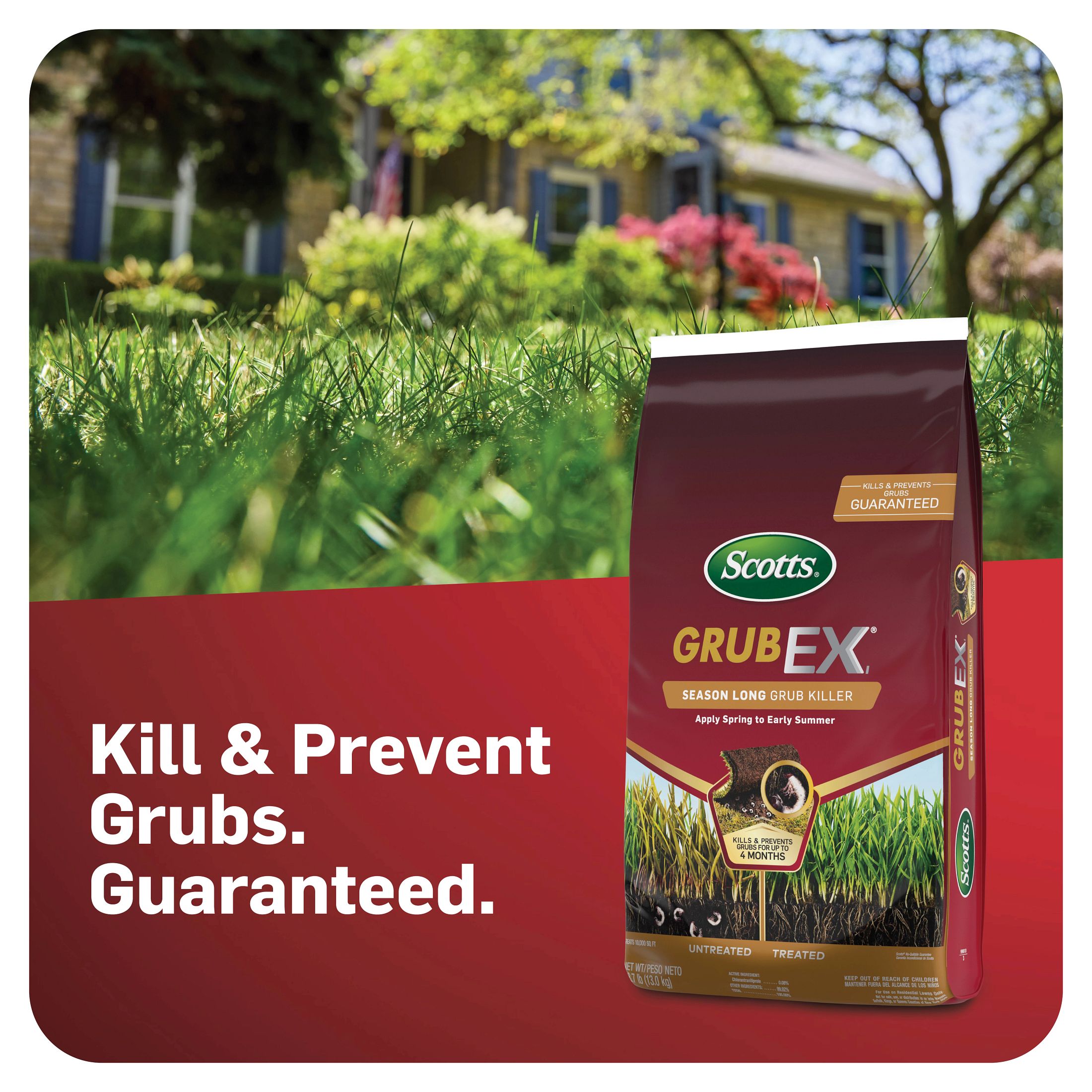 Scotts GrubEx1 Season Long Grub Killer 99605D at Lowes.com