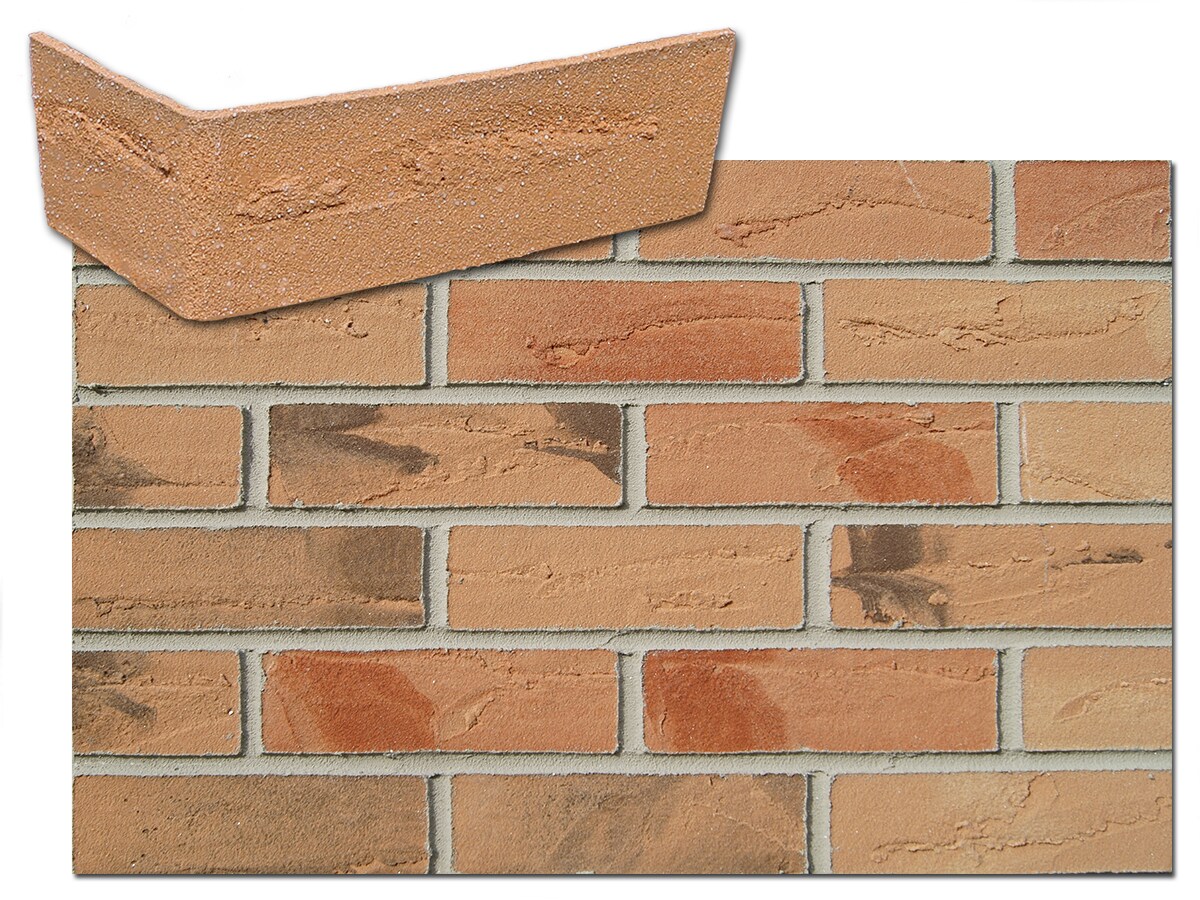 Flexebrick 2.625-in x 13.75-in Copper Leaf Brick Veneer Individual ...