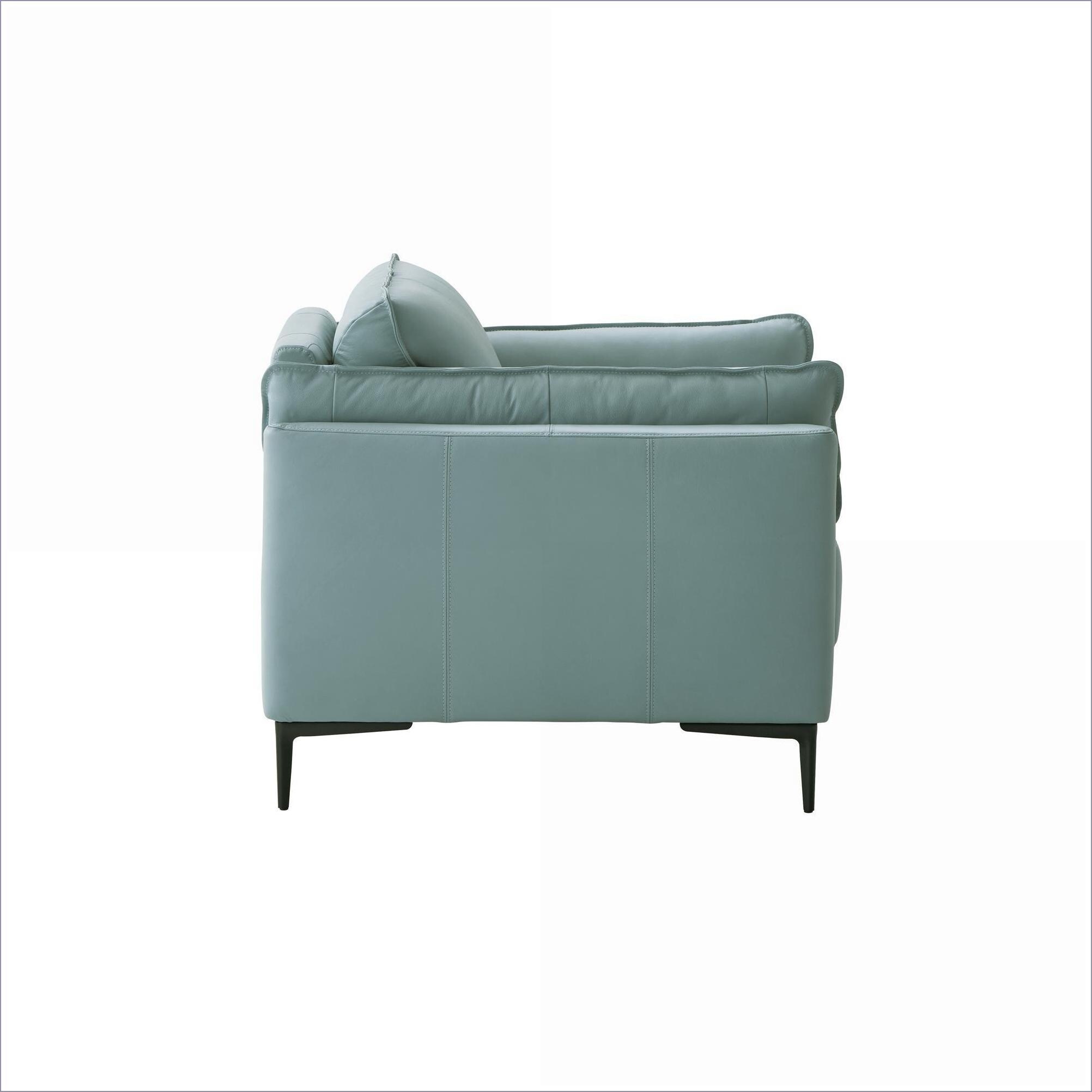Watnature Mesut Sage Green Top Grain Leather Accent Chair Black Finish ...