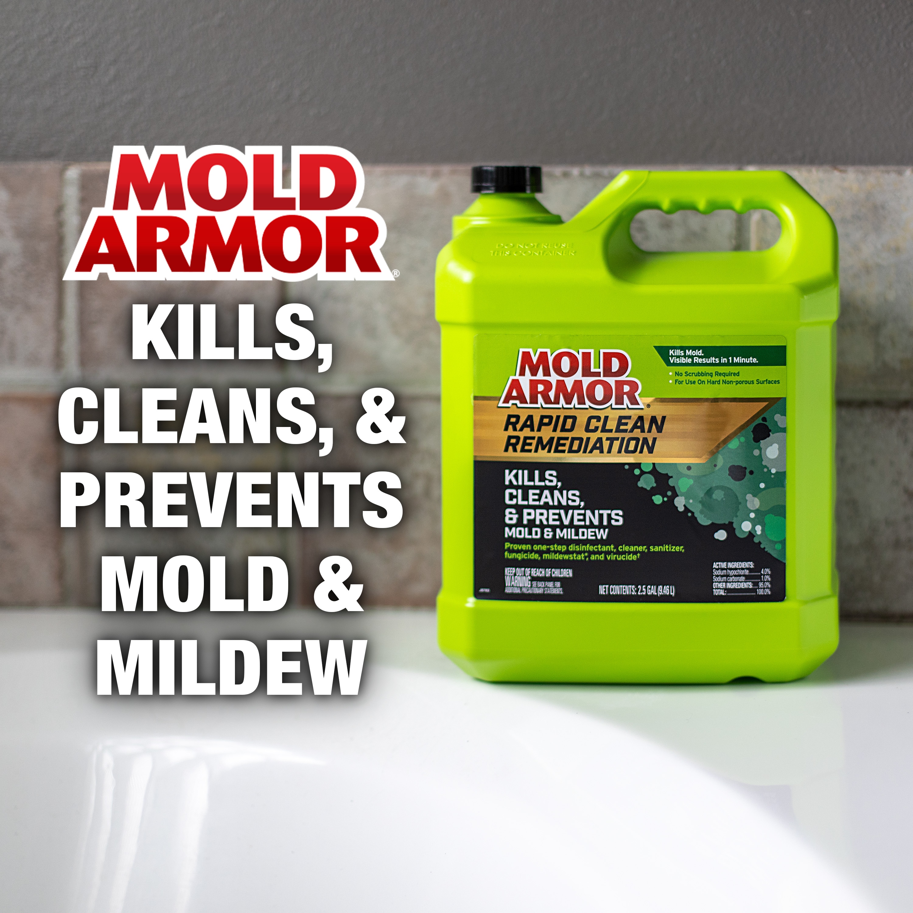 Mold Armor 320-fl oz Liquid Mold Remover in the Mold Removers ...