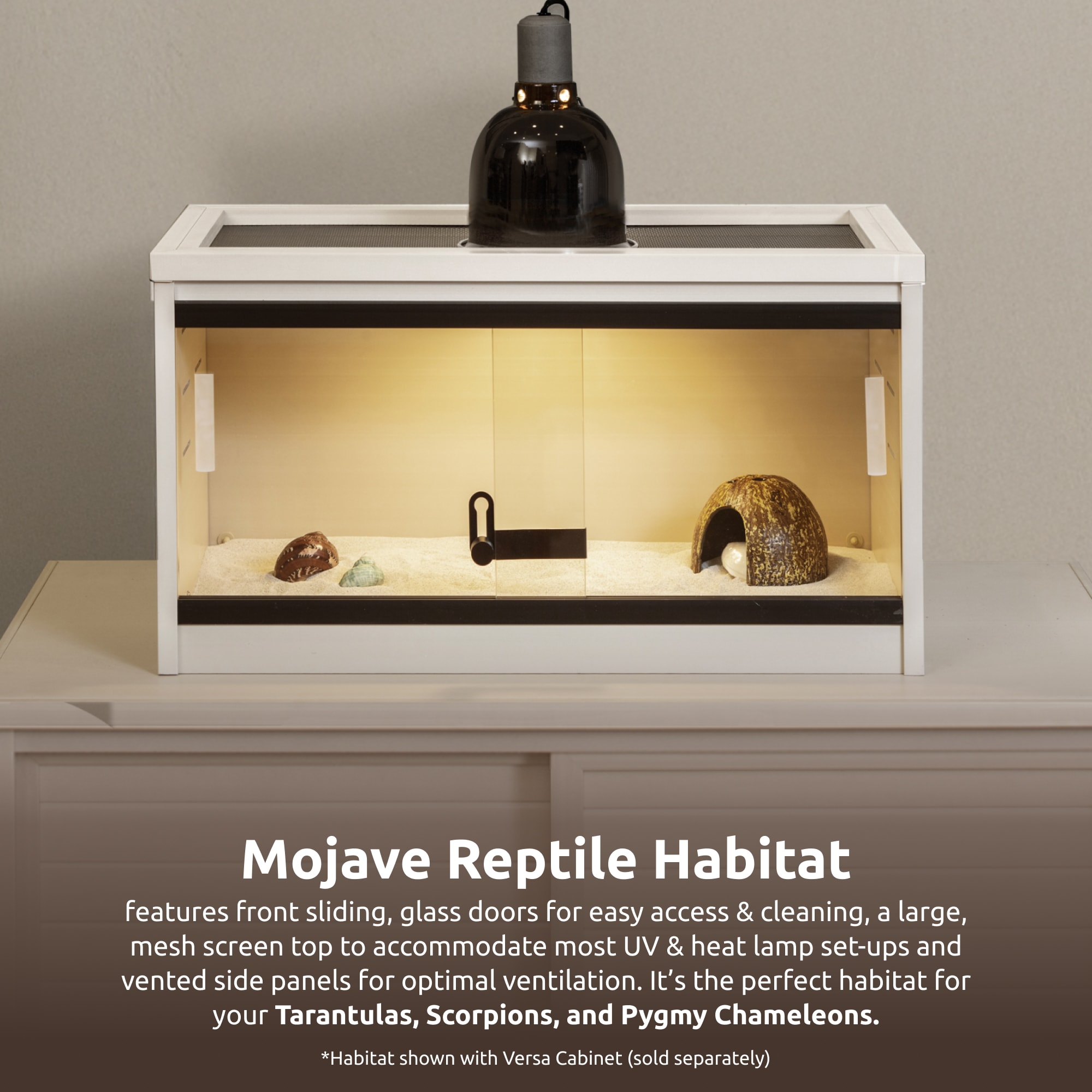 14-lb. Terrariums & Habitats Near Me at Lowes.com