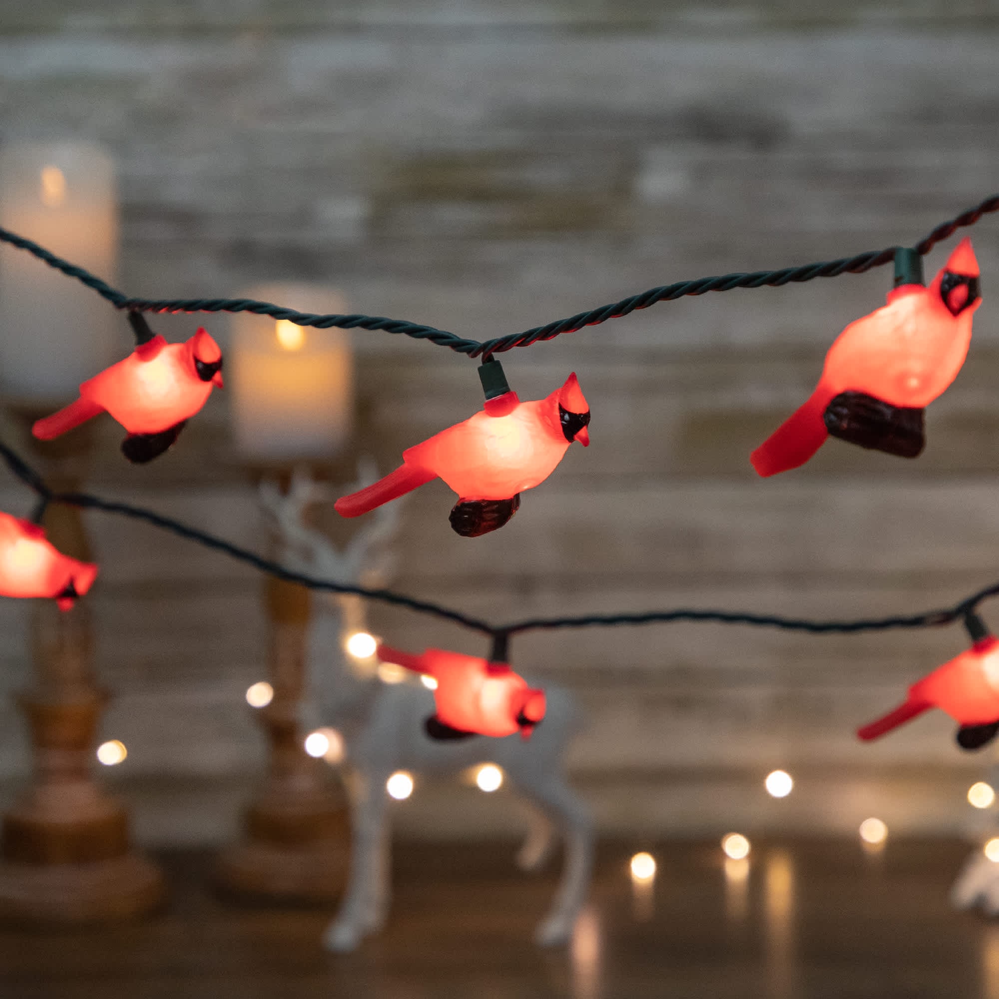 Northlight Cardinal Indoor Outdoor Patio Light Set - 6 feet Green Wire ...