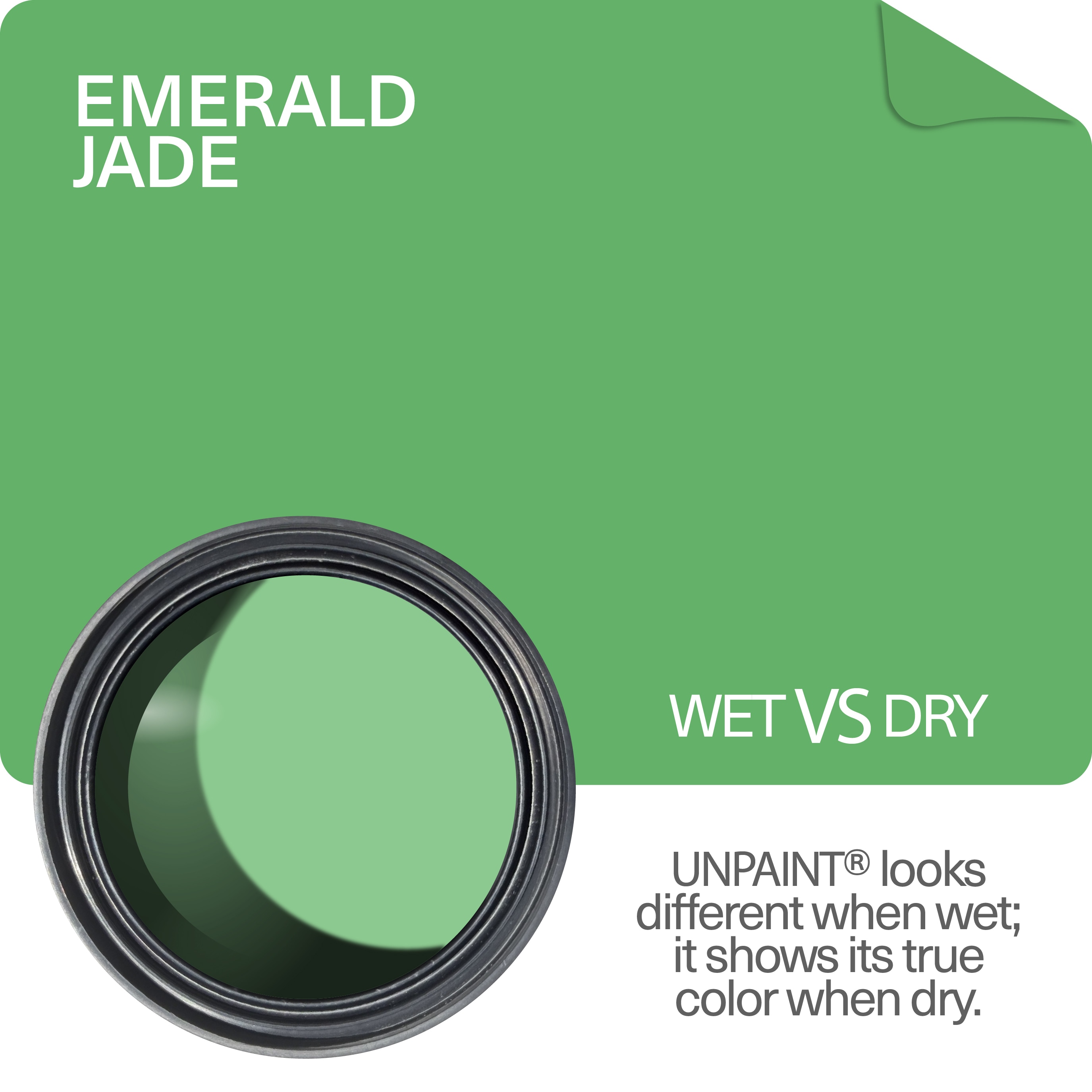 UNPAINT Matte Green Emerald Jade Interior Paint ( 1-gallon ) in the ...