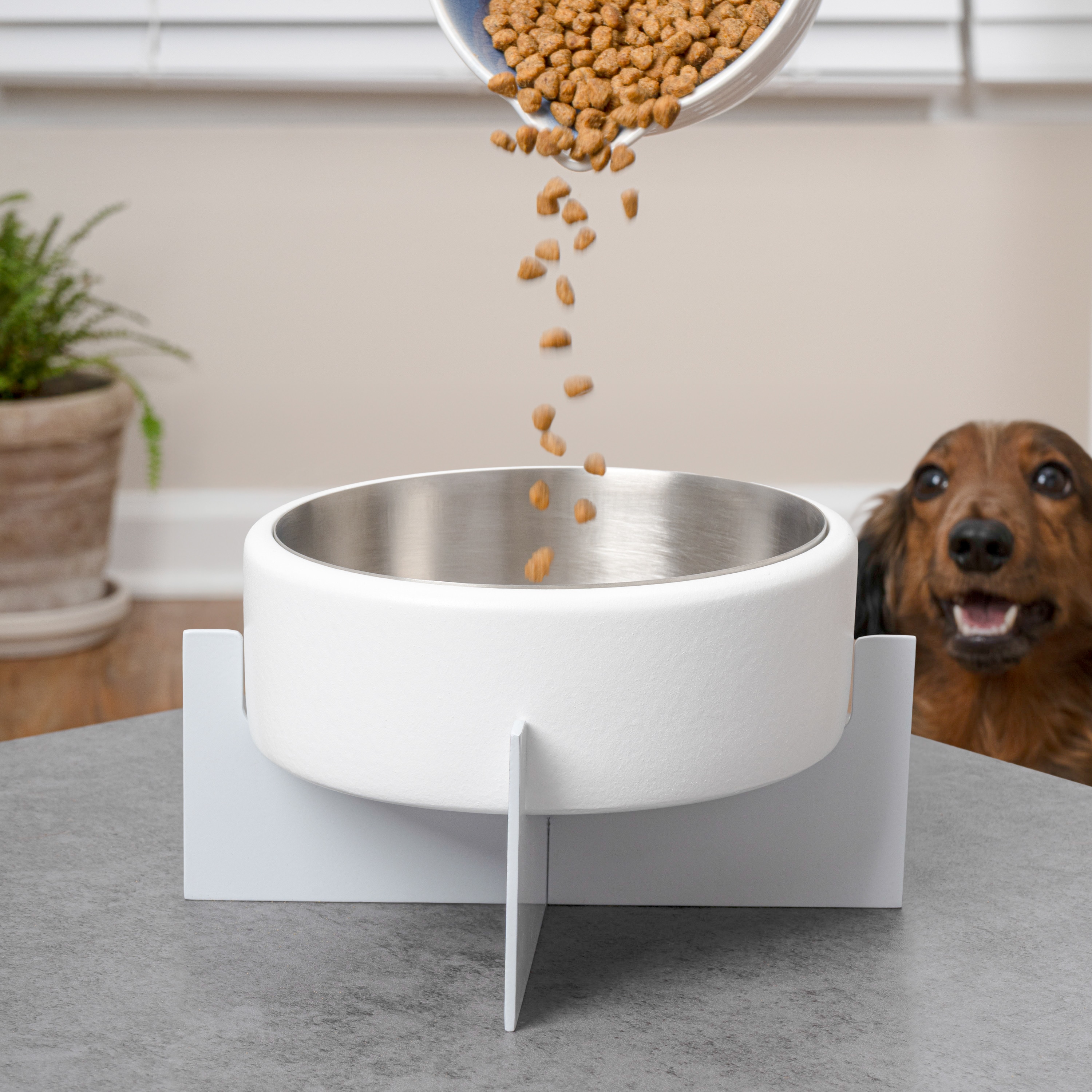 The Licker Store Intersecta Small/Medium Concrete and Stainless Steel ...