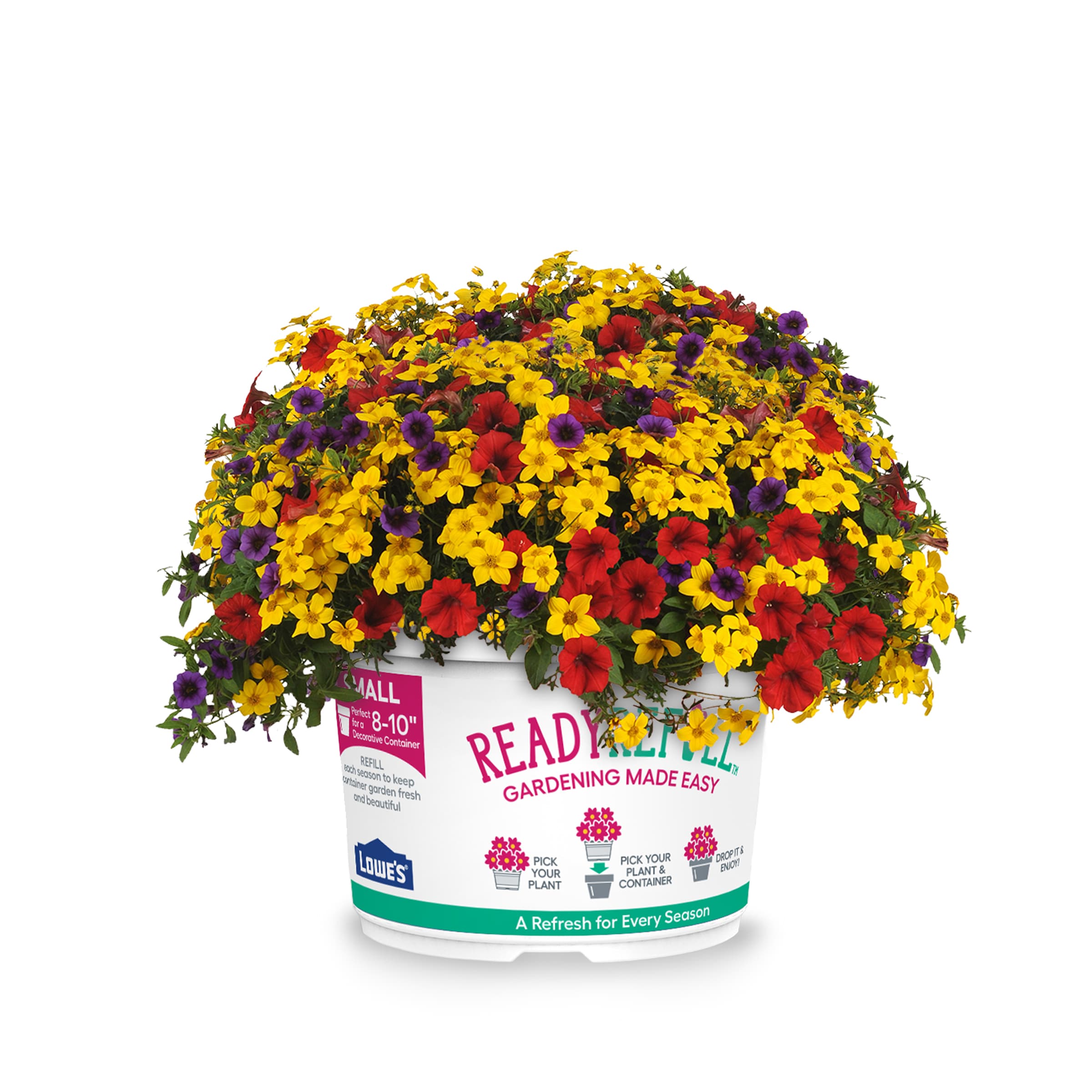 Ready Refill 2.5 Gallon(s) Multicolor Combo in the Annuals department ...