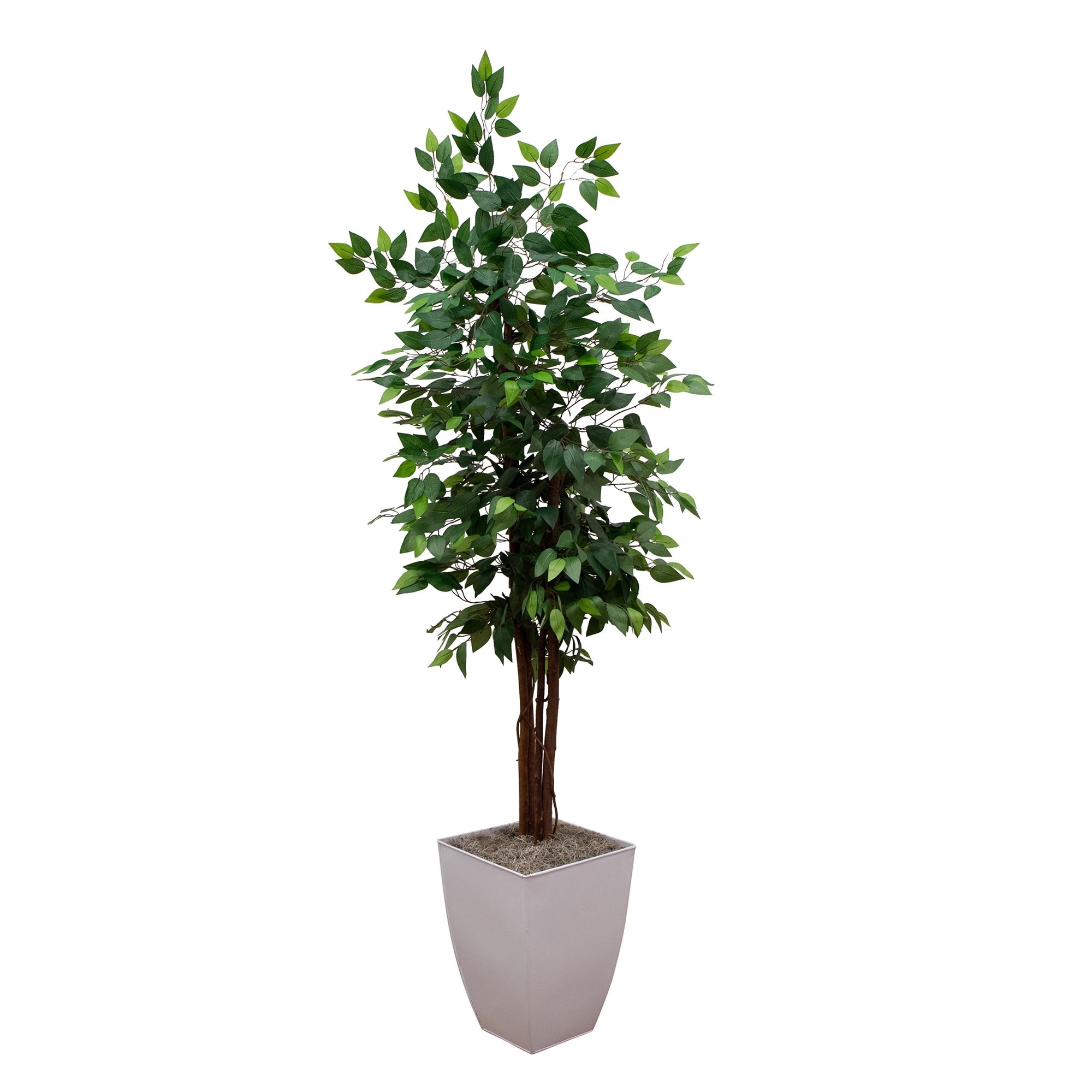 Nearly Natural 72-in Green Indoor Floor Ficus Artificial Tree in the ...
