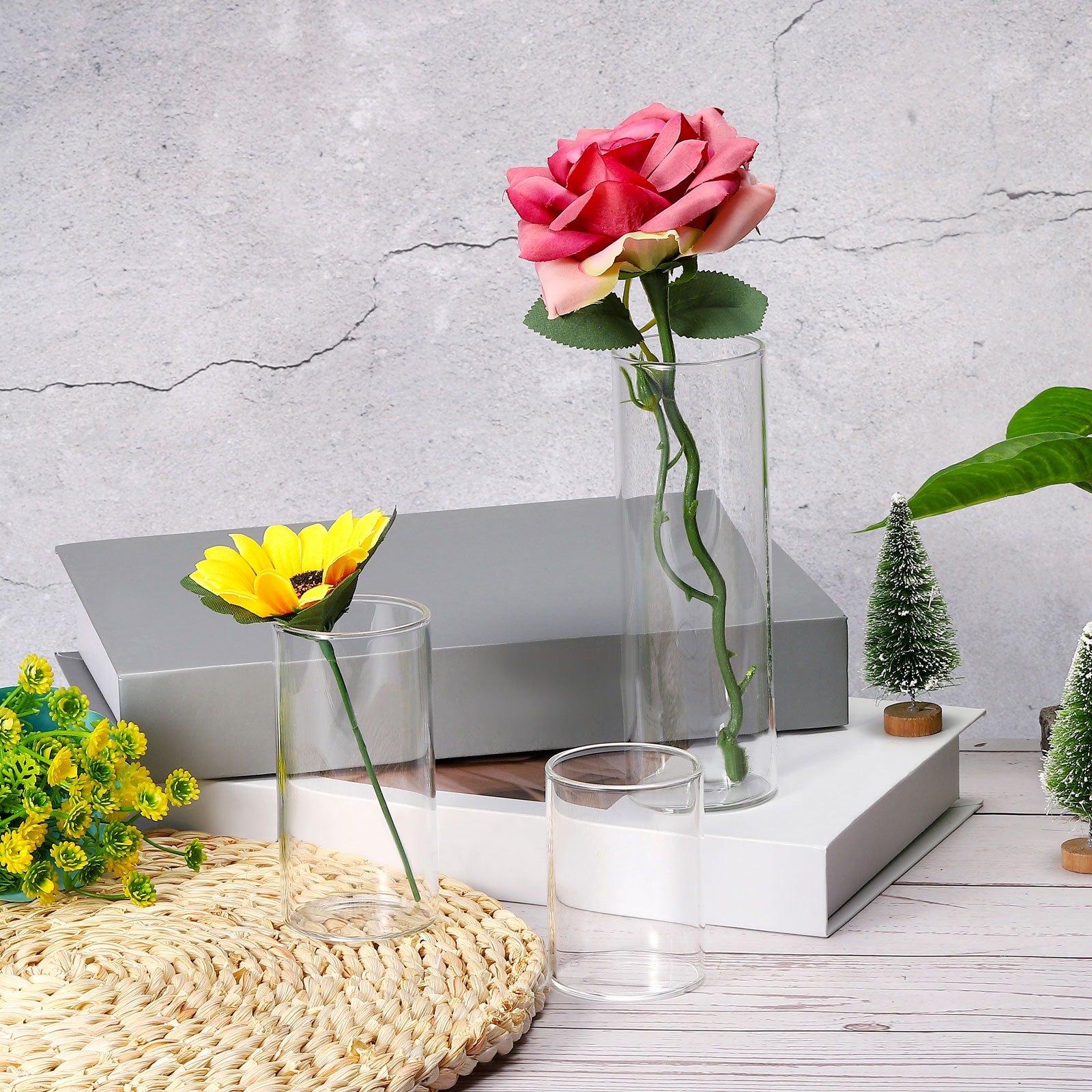 PATIKIL Clear Glass Cylinder Vase 5.9inch Tall and 2inch Dia Tabletop ...
