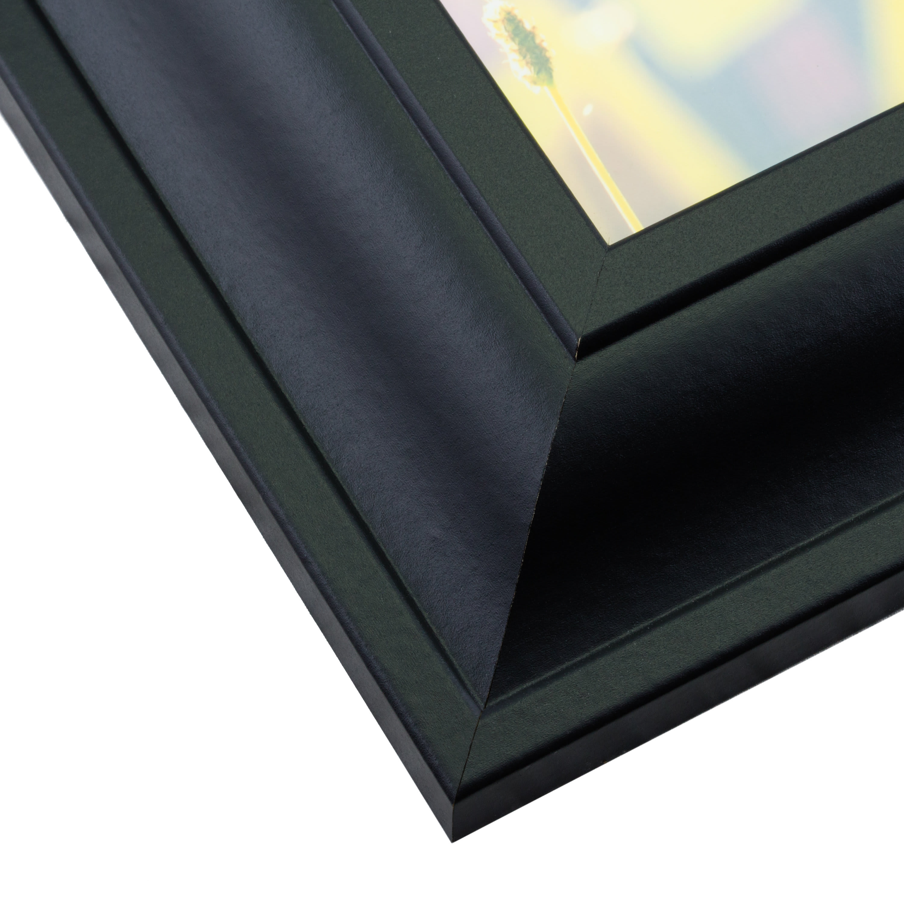 Craig Frames 18x24 Matted to 12x18 Picture Frame Black Upscale 2 Inch ...