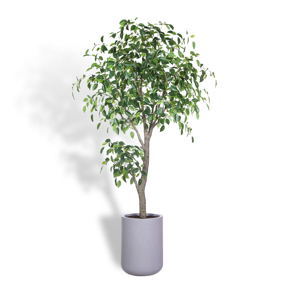 Gray Floor Artificial Plants & Flowers at Lowes.com