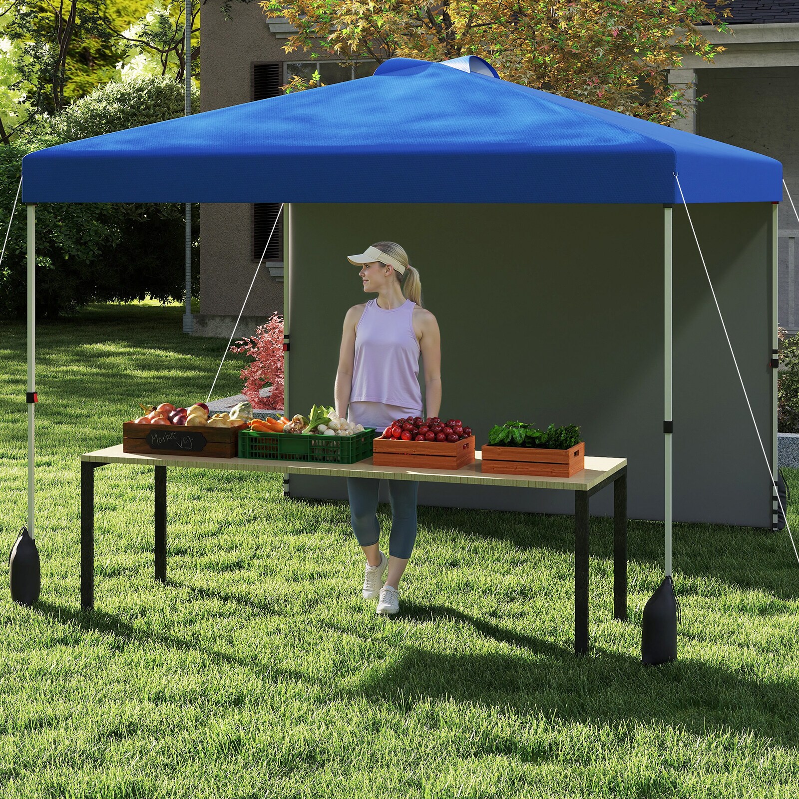 Ayelon 10-ft x 10-ft Square Blue Pop-up canopy in the Canopies ...