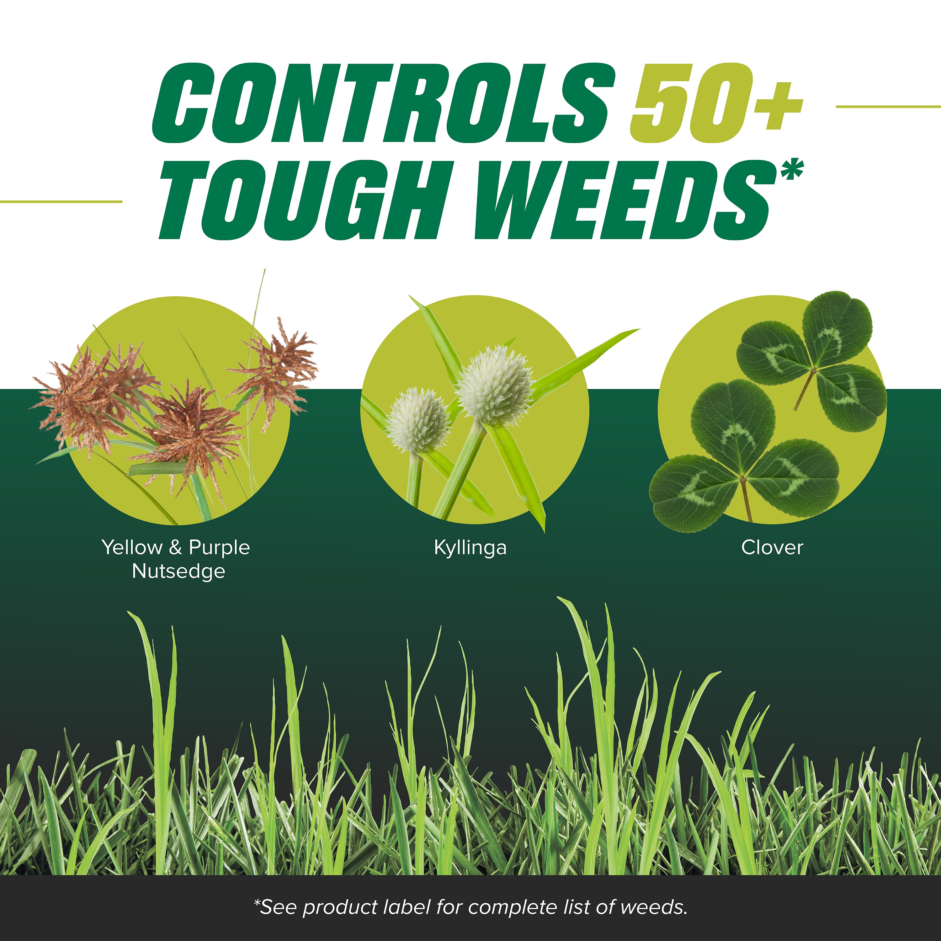 ORTHO Nutsedge Killer for Lawns 24 -fl oz Trigger spray Lawn Weed ...