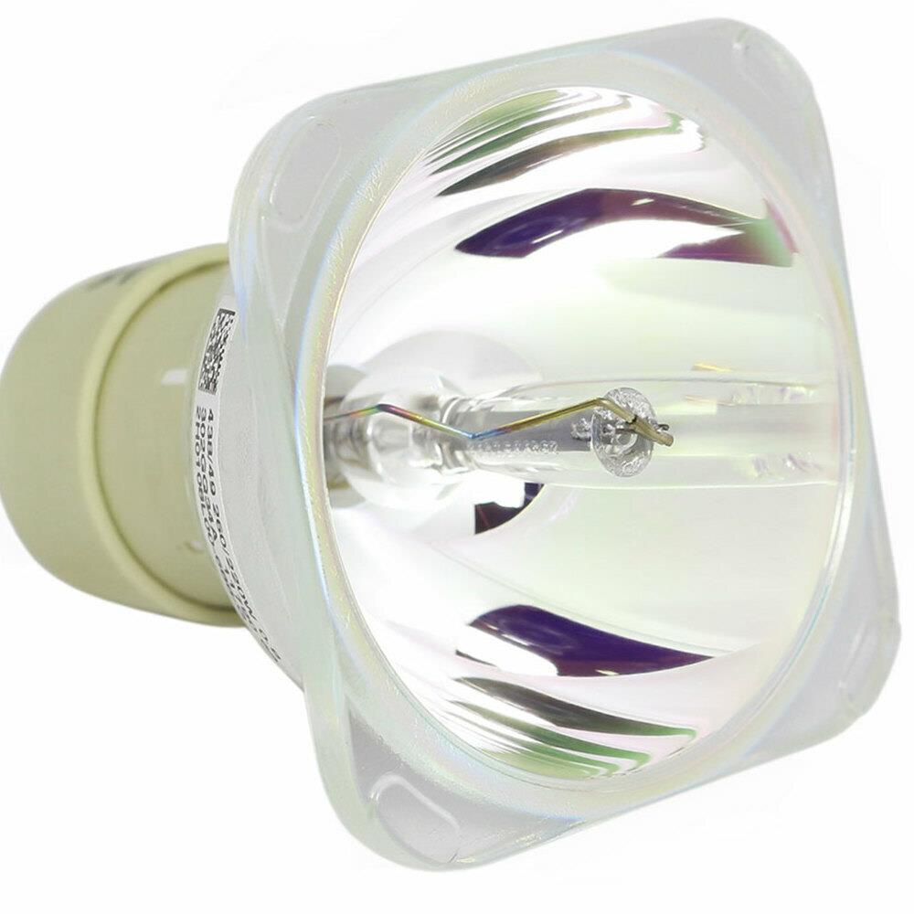SmartBoard 1026952 Philips Projector Bare Lamp at Lowes.com