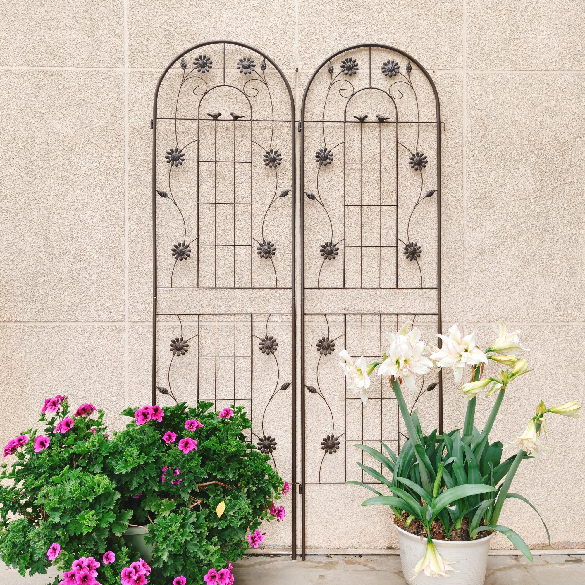LOVMOR 2 Pack Metal Garden Trellis 71Inch x 19.7Inch Rustproof Trellis ...