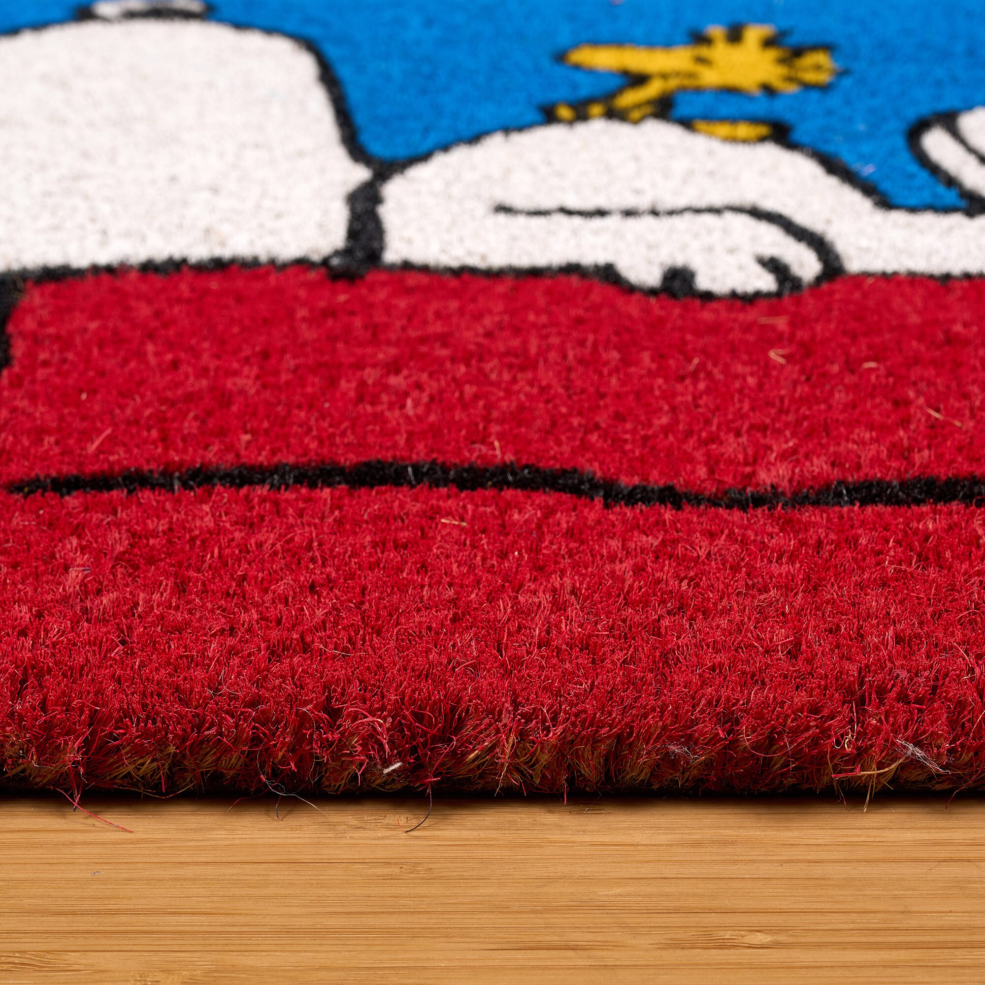 Peanuts 18-in x 30-in Multicolor Coir Non-Slip Grip Indoor or outdoor ...