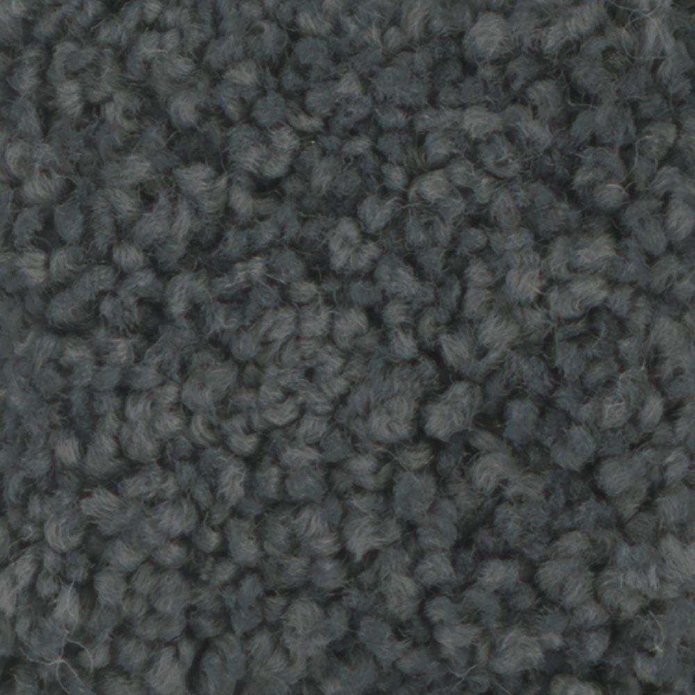 STAINMASTER (Sample) Signature Subtle Beauty I Indigo Textured Carpet ...