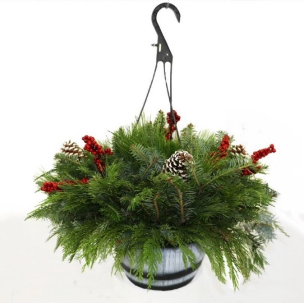 Holiday Living 10 inch Keg Hanging Basket in the Fresh Christmas ...