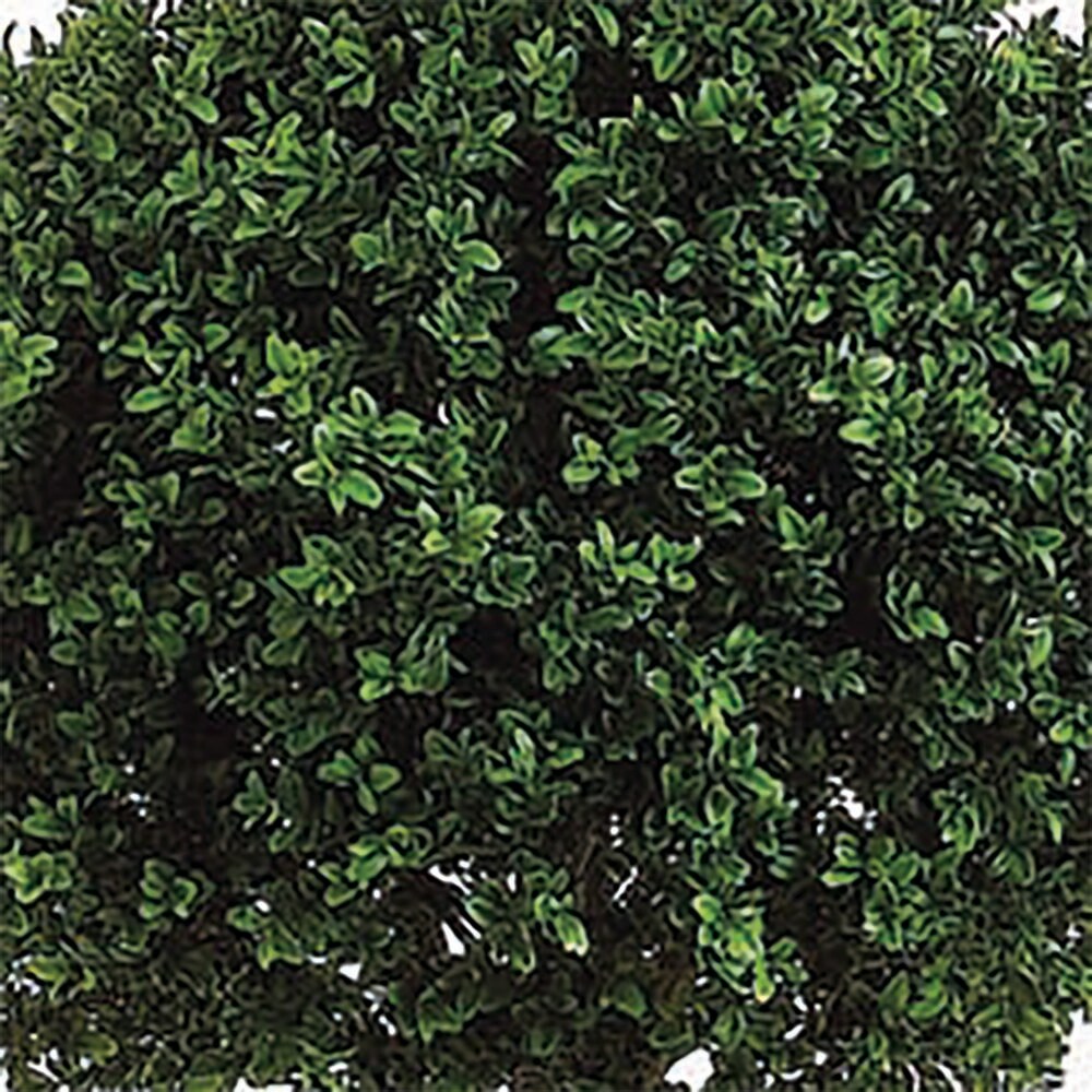 Allstate Floral 72-in Two Tone Green Indoor Floor Boxwood Artificial ...