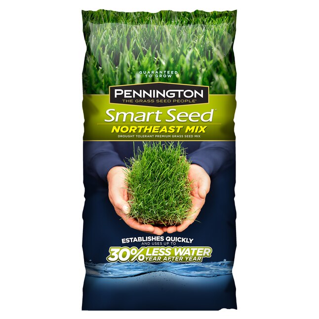 Pennington Smart Seed Northeast Mix 7 Lb Mixtureblend Grass Seed In The Grass Seed Department