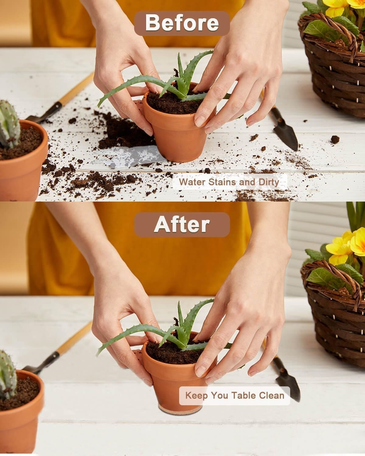 Adrinfly 12 pcs Cork Plant Coasters and Saucers Assorted Sizes ...
