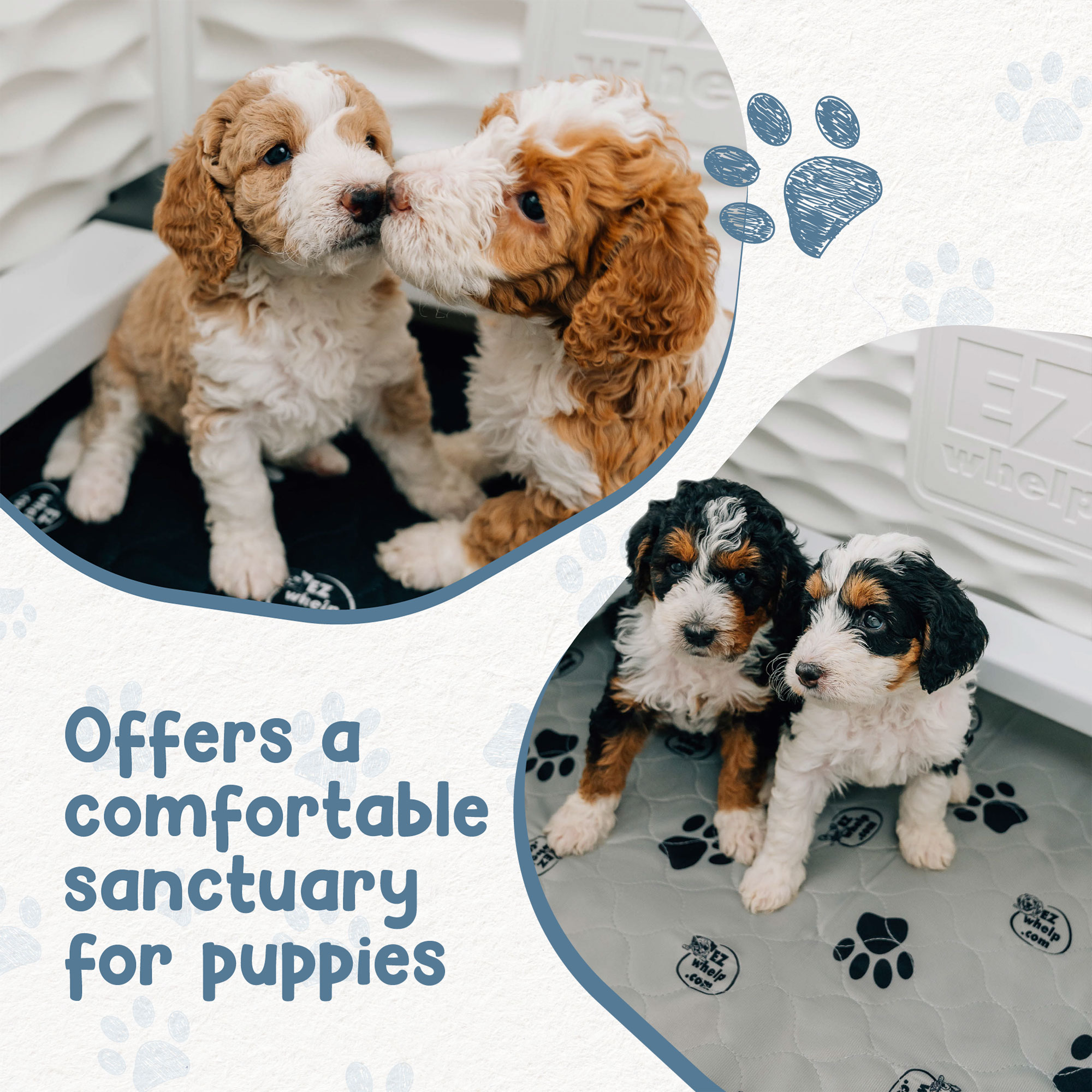 EZwhelp EZclassic 28 Inches x 28 Inches Puppy Dog Whelping Box Playpen ...