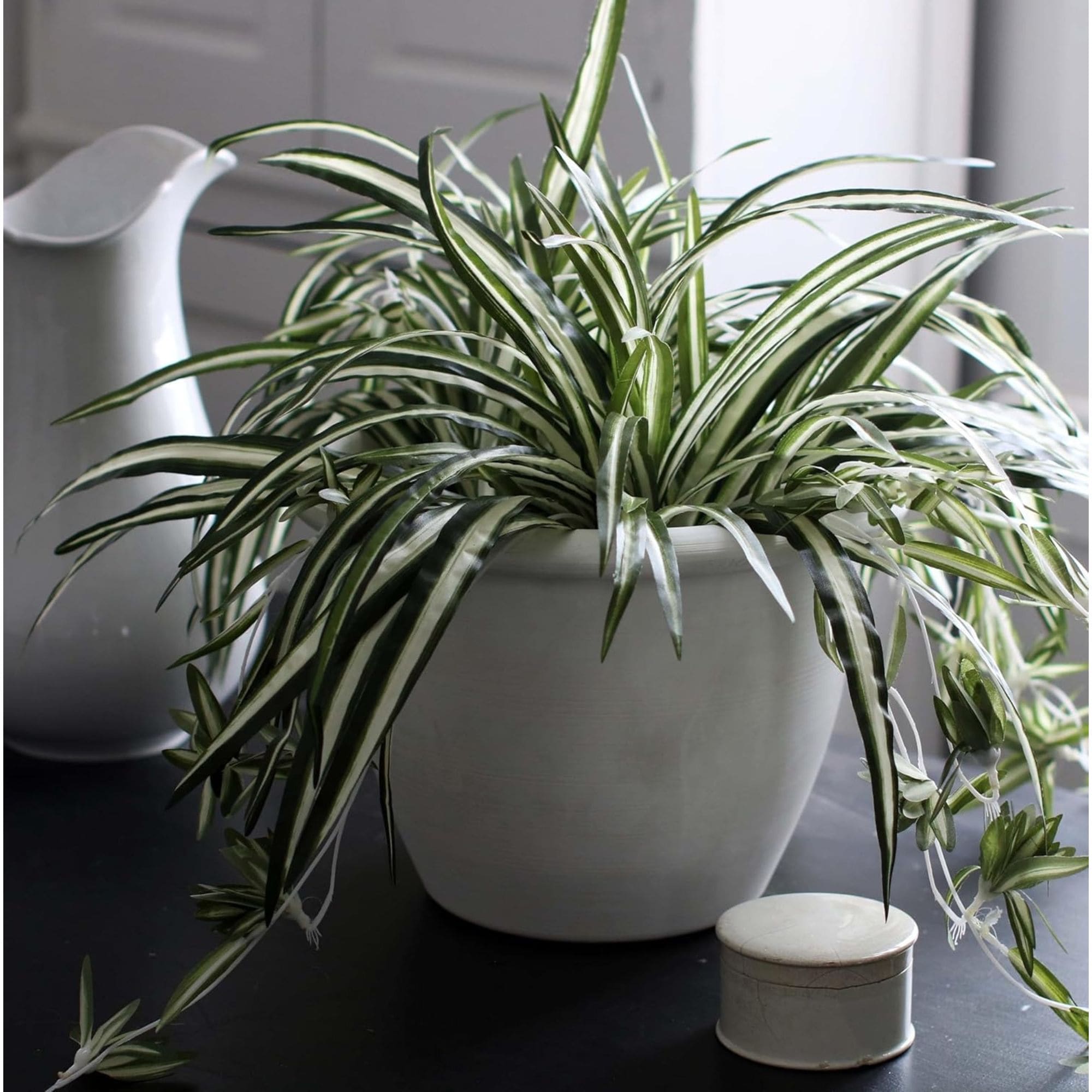The HC Companies Sevilla Self-Watering Pot with Internal Disk 12 Inch ...