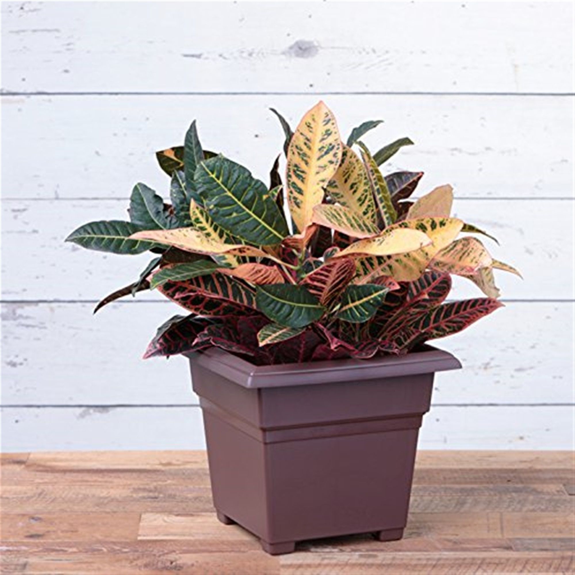 Novelty Manufacturing Plastic Countryside Square Tub Planter- Brown ...