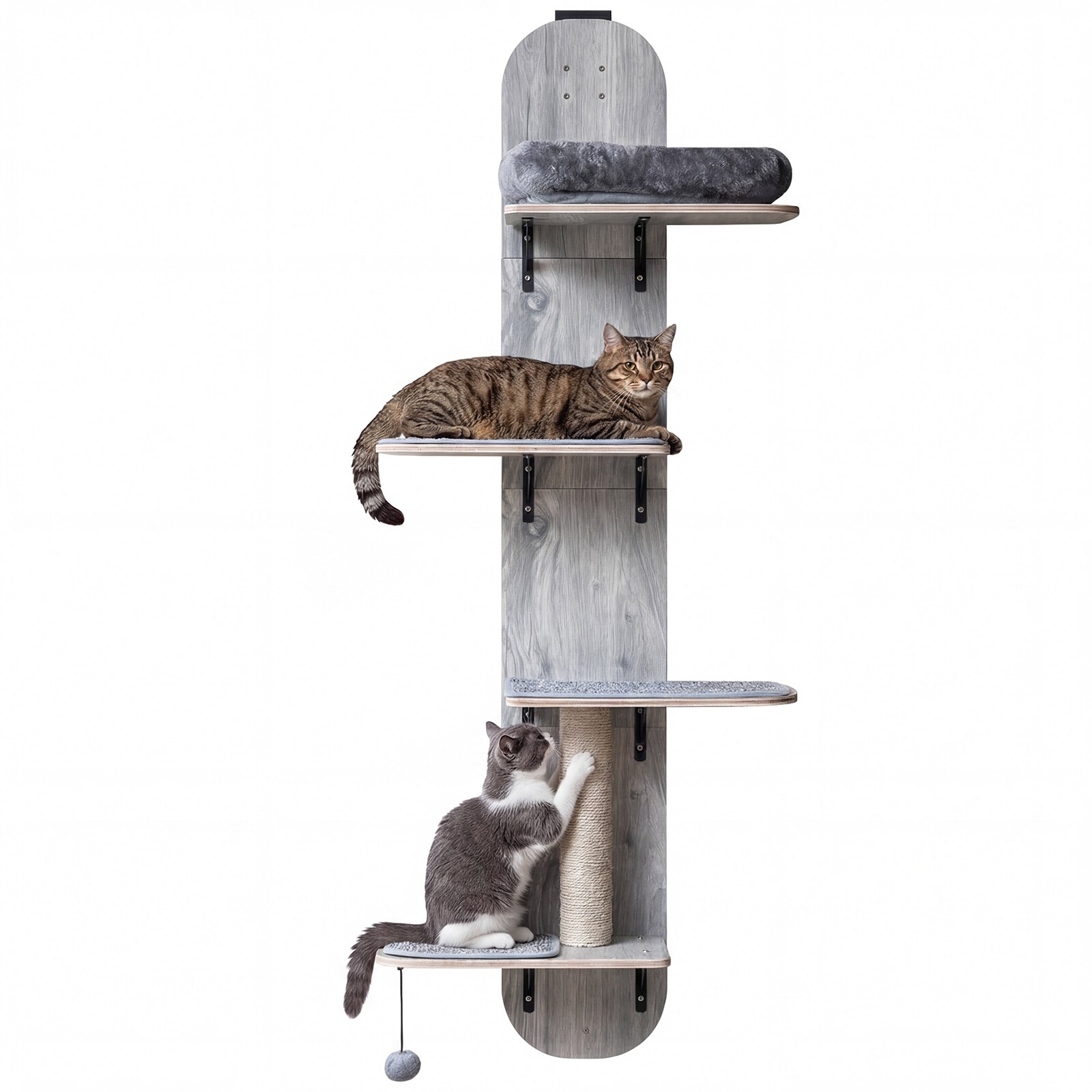 23-Inch-Wide Cat Trees & Scratchers at Lowes.com