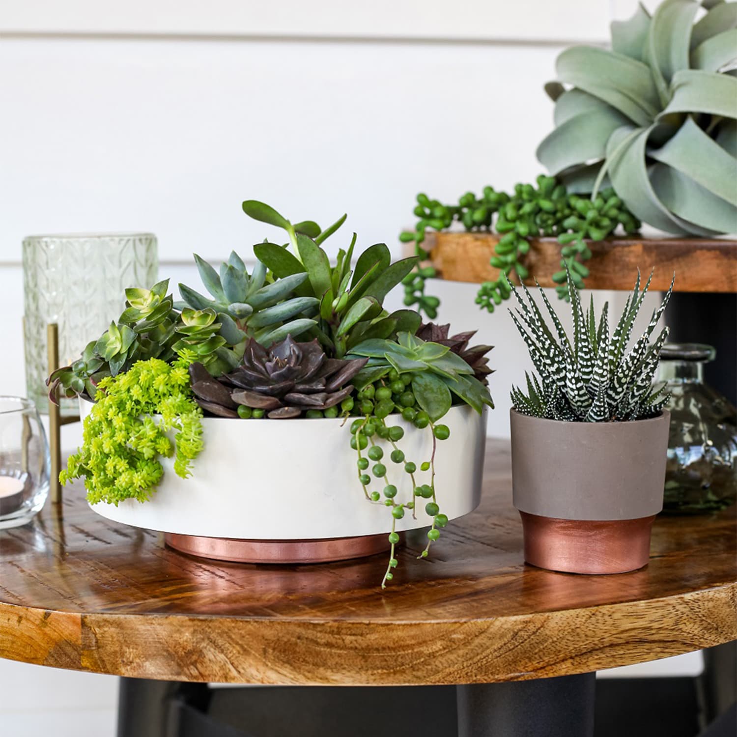 The HC Companies 8 Inch Capri Bowl Indoor Succulent Planter Pot Vanilla ...