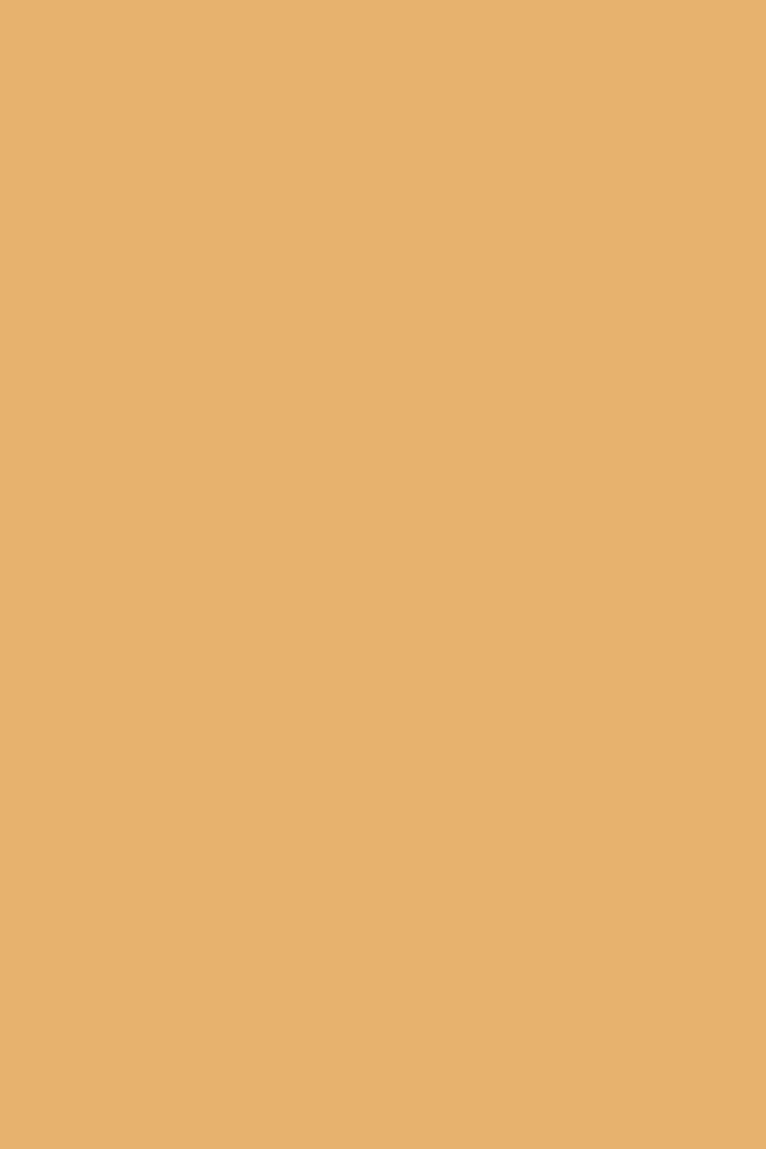 Therma-Tru 36-in x 96-in x 4-9/16-in Fiberglass 1/4 lite Right-hand ...