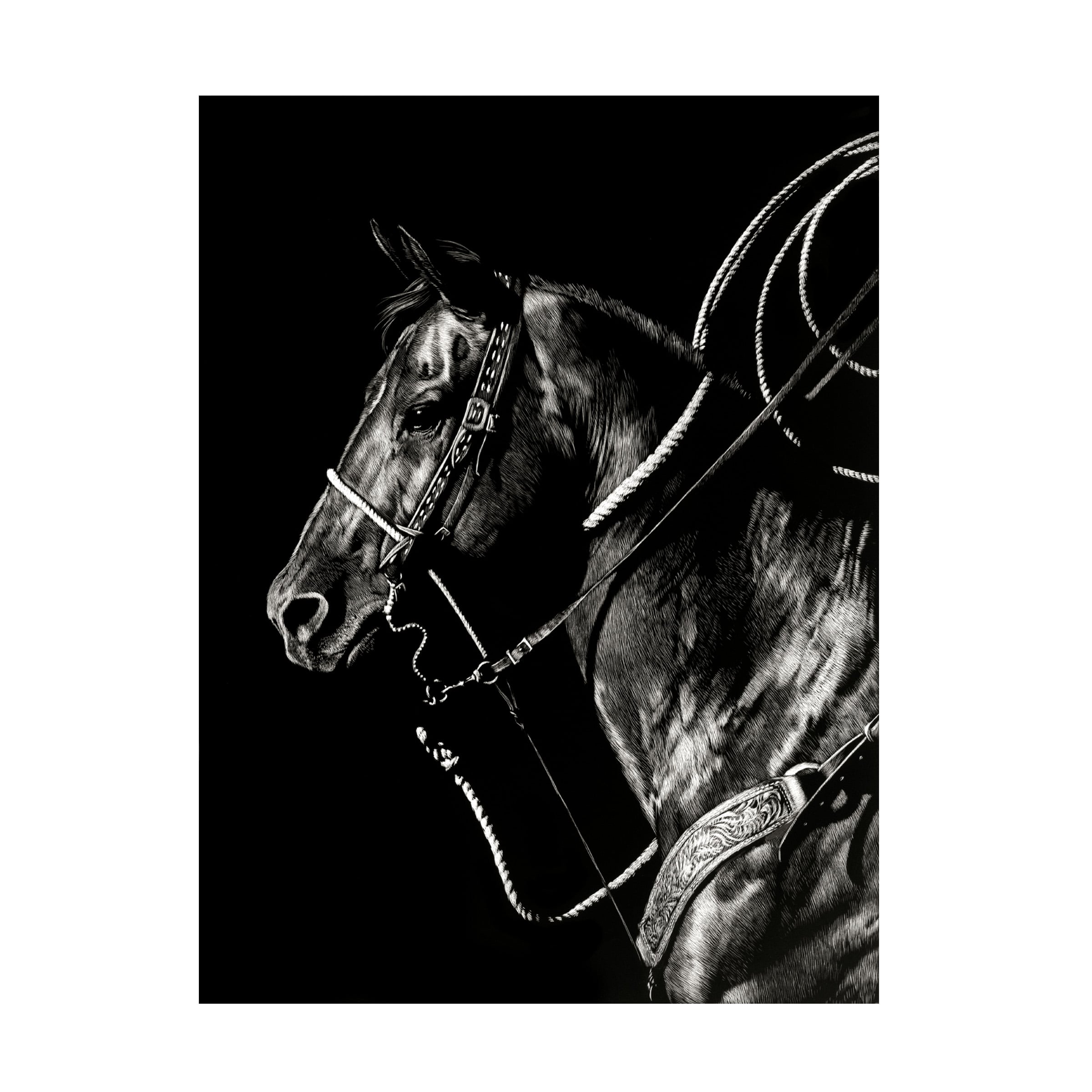 Trademark Fine Art Julie T. Chapman Scratchboard Rodeo V Canvas Art ...