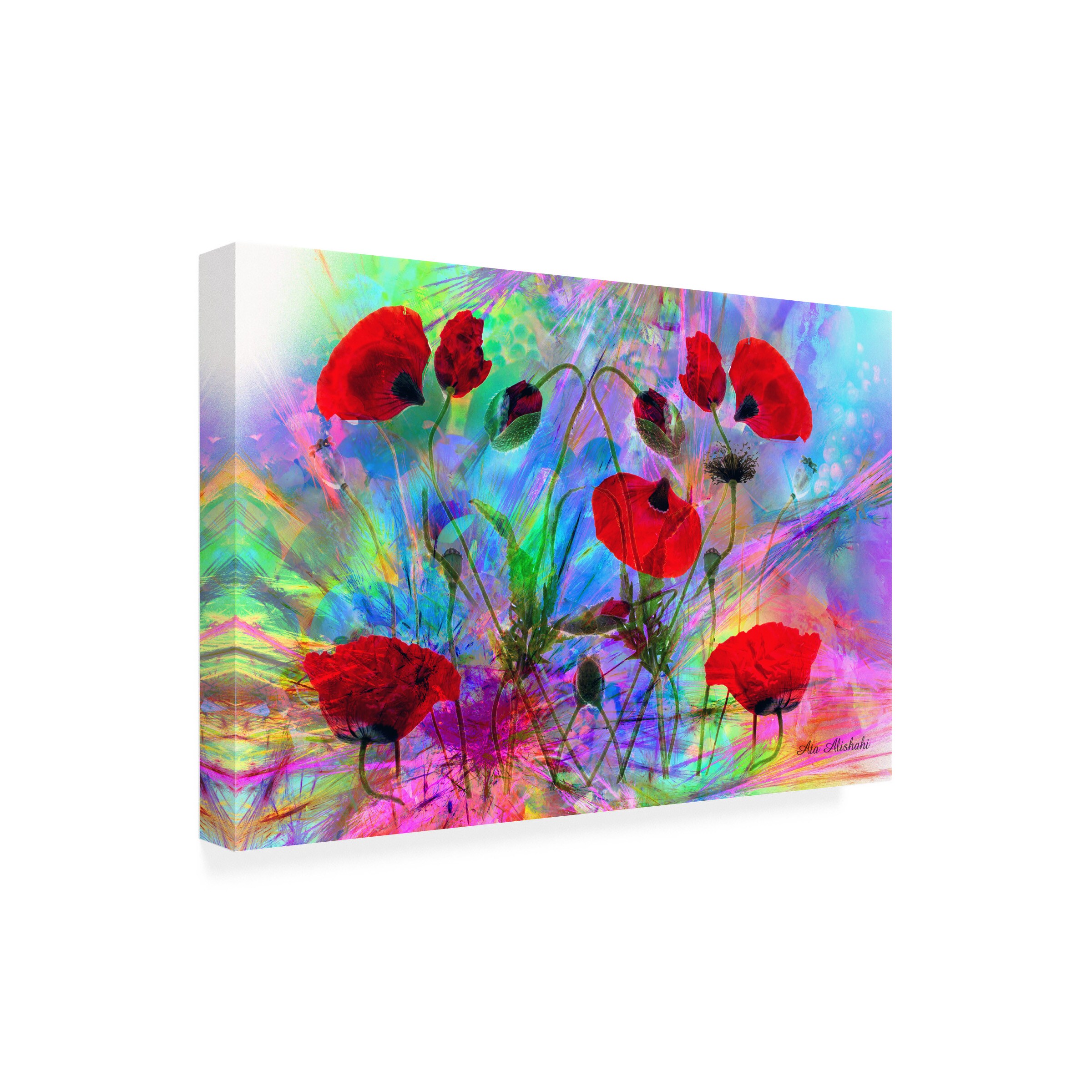 Trademark Fine Art Ata Alishahi Color Explosion 2 Canvas Art in the ...