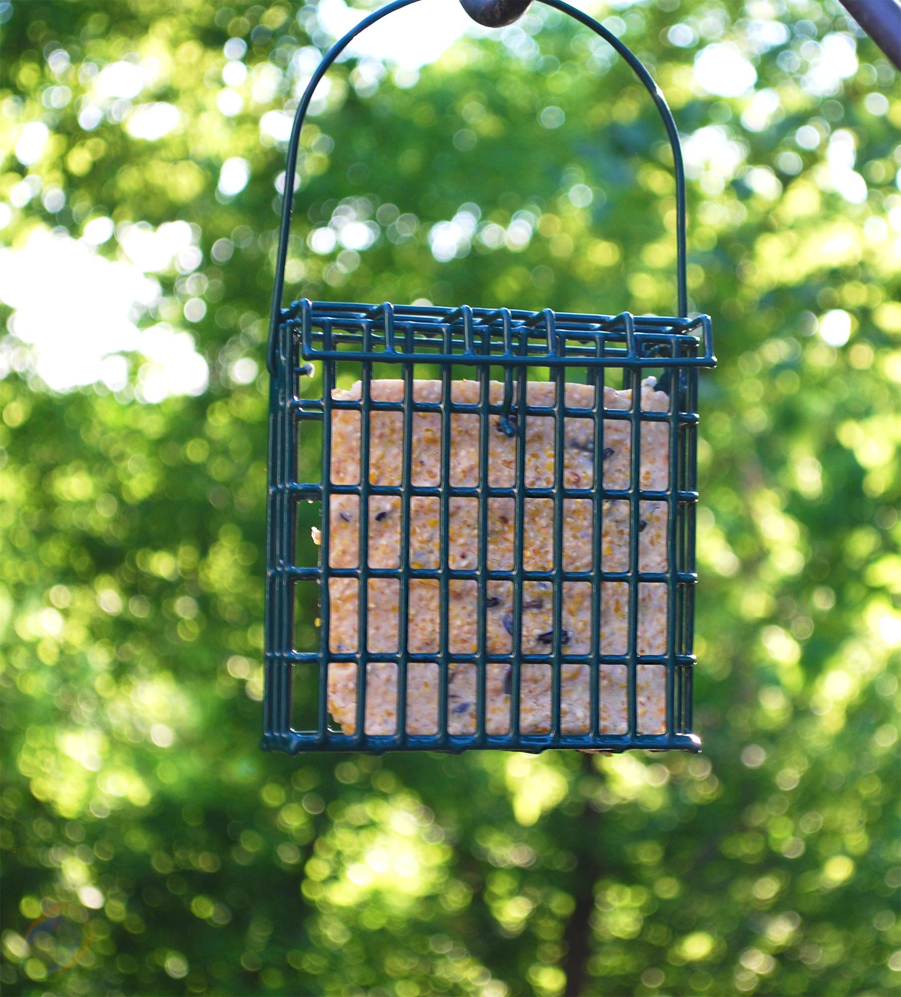Wildlife Sciences Nuts and Berry Blend Suet Plus Bird Feed - Melt ...