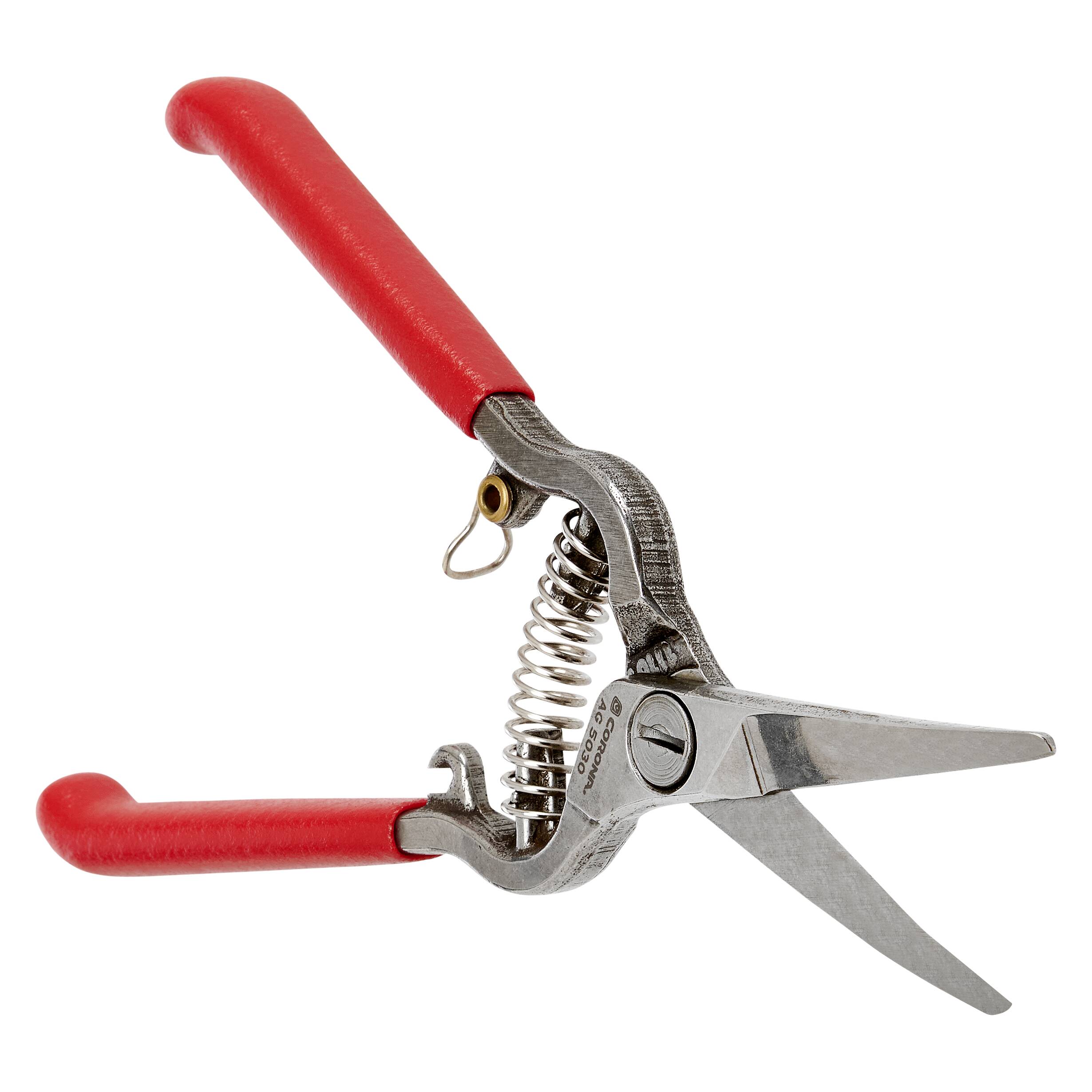 Corona Grape Shear AG 5030 at Lowes.com