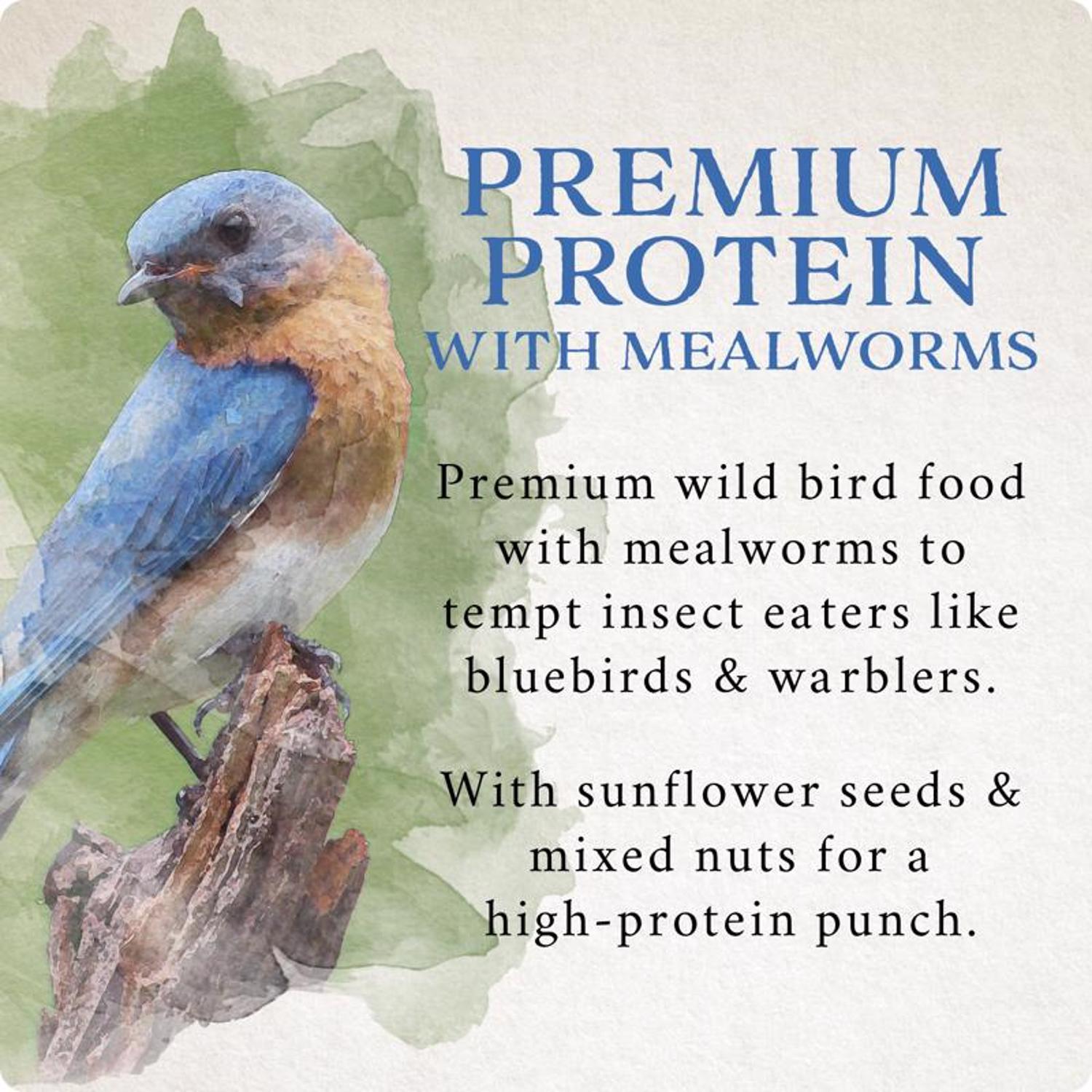 Audobon Premium Protein with Mealworms Wild Bird Food 5 lb in the Bird ...