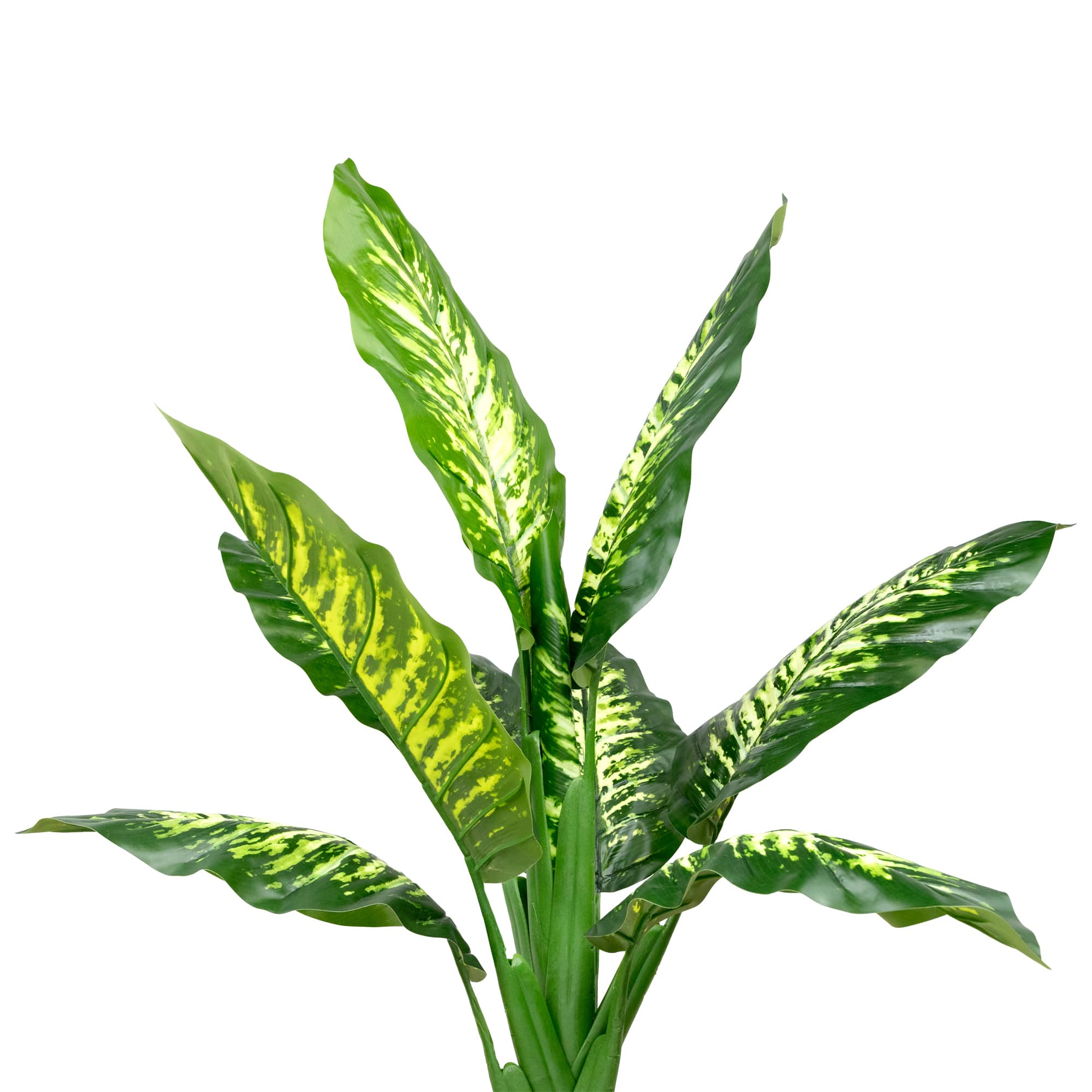 Northlight Artificial Variegated Dieffenbachia Leaf Potted Plant - 36 ...