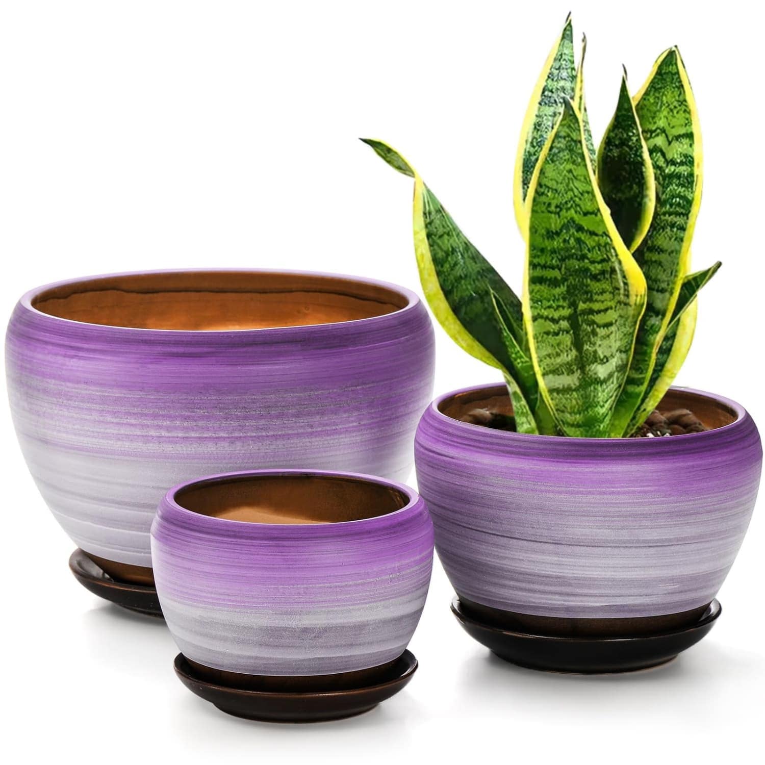 Ceramic Purple Pots & Planters at Lowes.com
