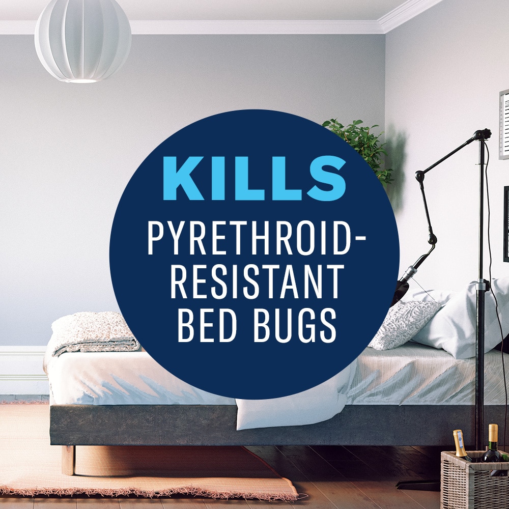 BAYER ADVANCED 64-fl oz Bed Bug and Flea Killer Insect Killer Trigger ...