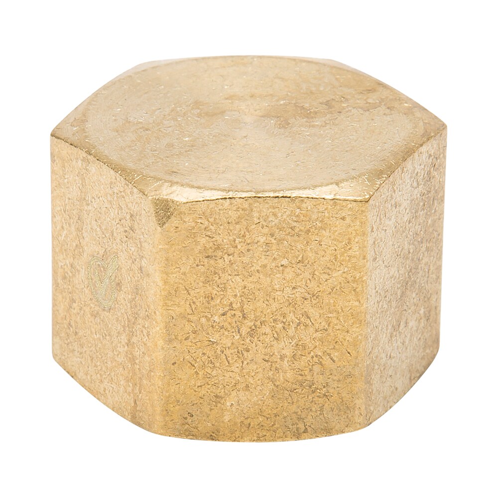 Proline Series 3/4-in Threaded Cap Fitting in the Brass Fittings ...