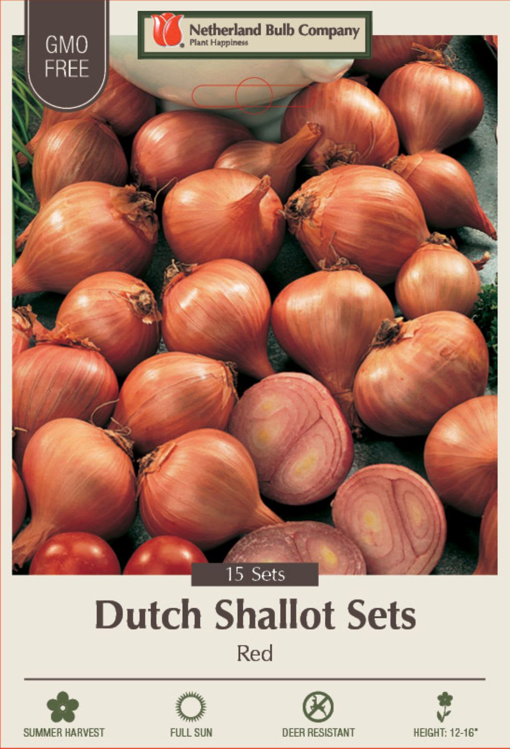 Hirt's Gardens Red Shallots - 15 Bulbs - 9/15 cm Bulbs - Preferred by ...