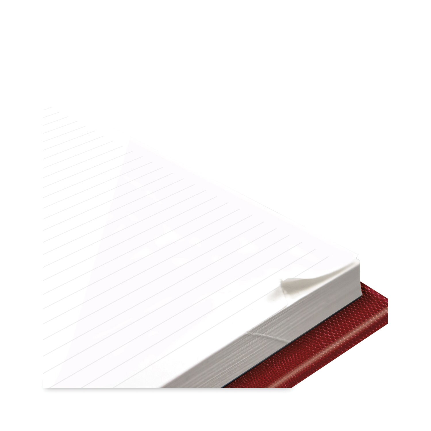 Blueline Daily Monthly Planner 8.25 x 5.75 Red Cover 12 Month Jan to ...