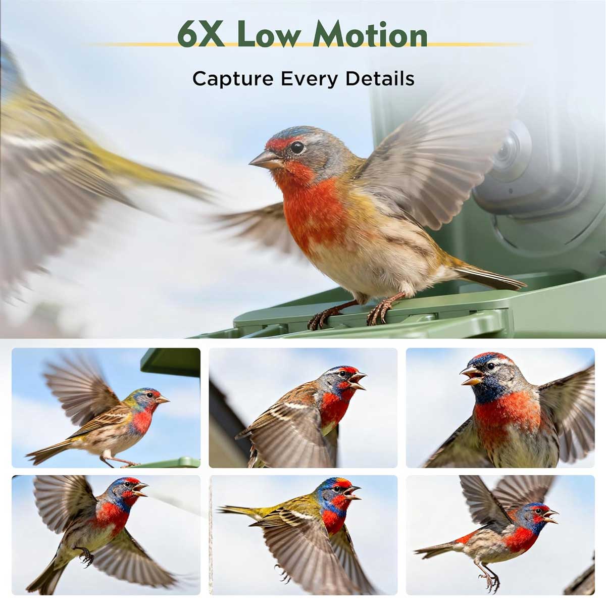 Aoibox 4K Ultra HD Bird Feeder Camera 32MP with AI Bird Recognition ...