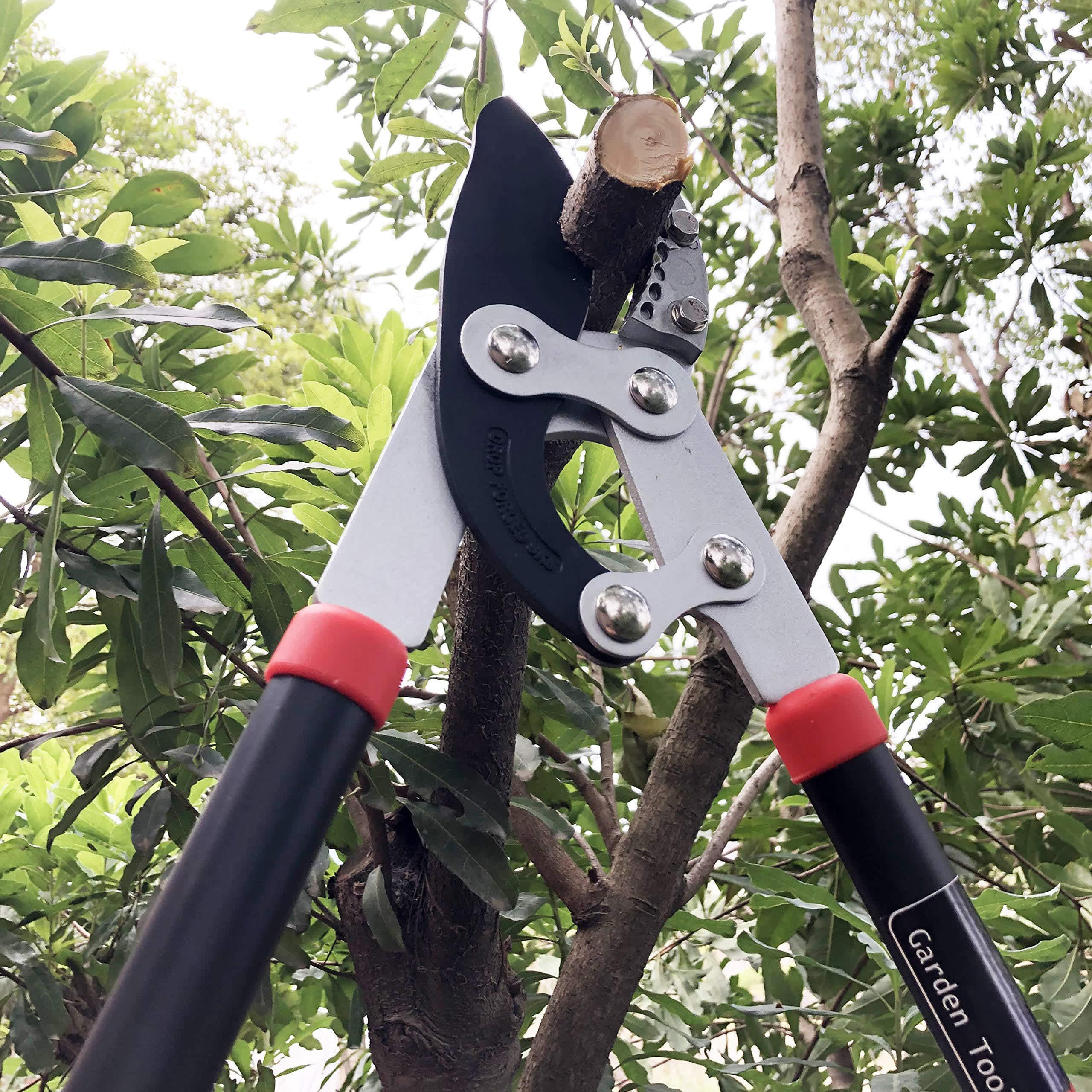 Etokfoks 30 inch SK5 steel blade anvil lopper 2 inch cutting capacity ...