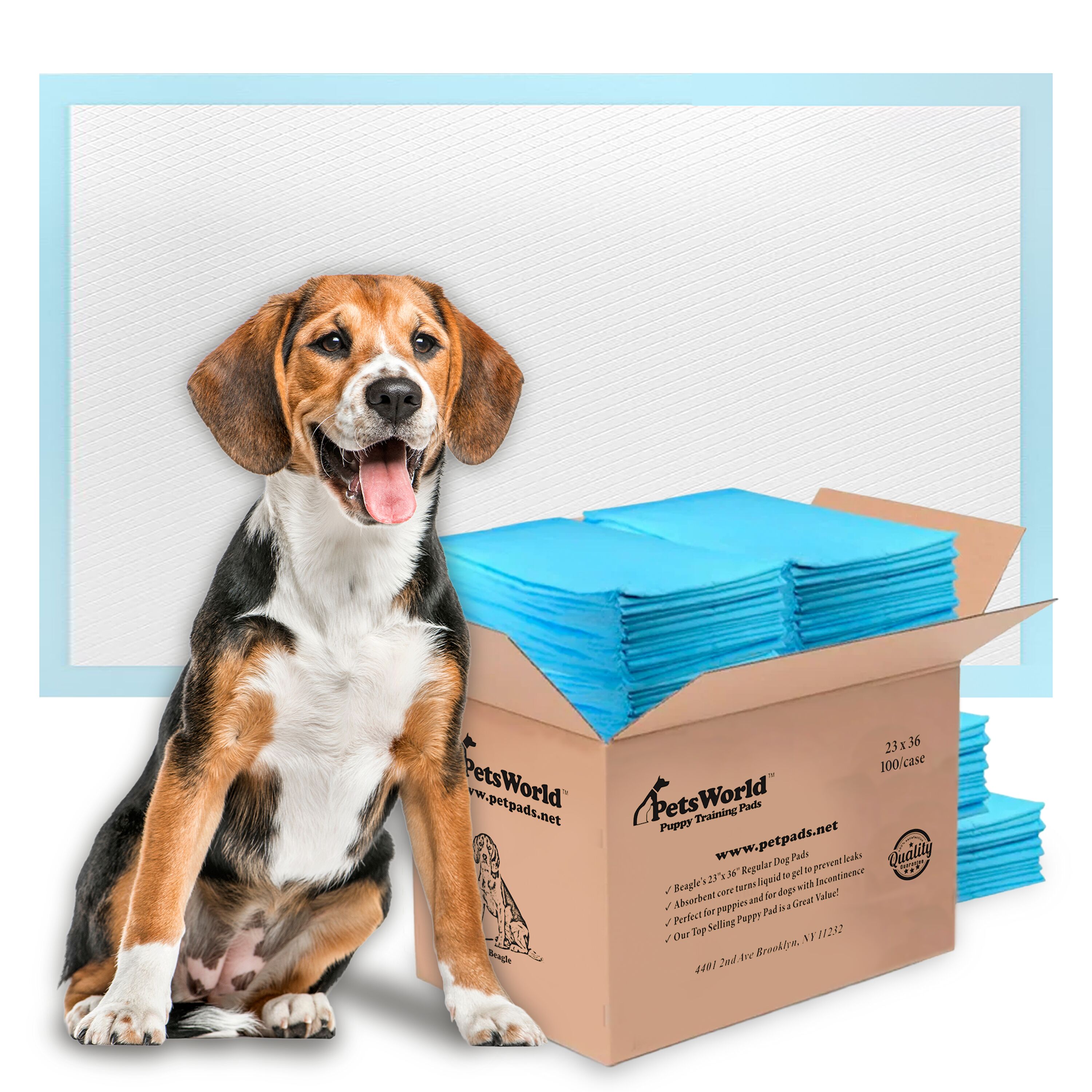 23-Inch-Wide Dog Cleaning & Potty at Lowes.com