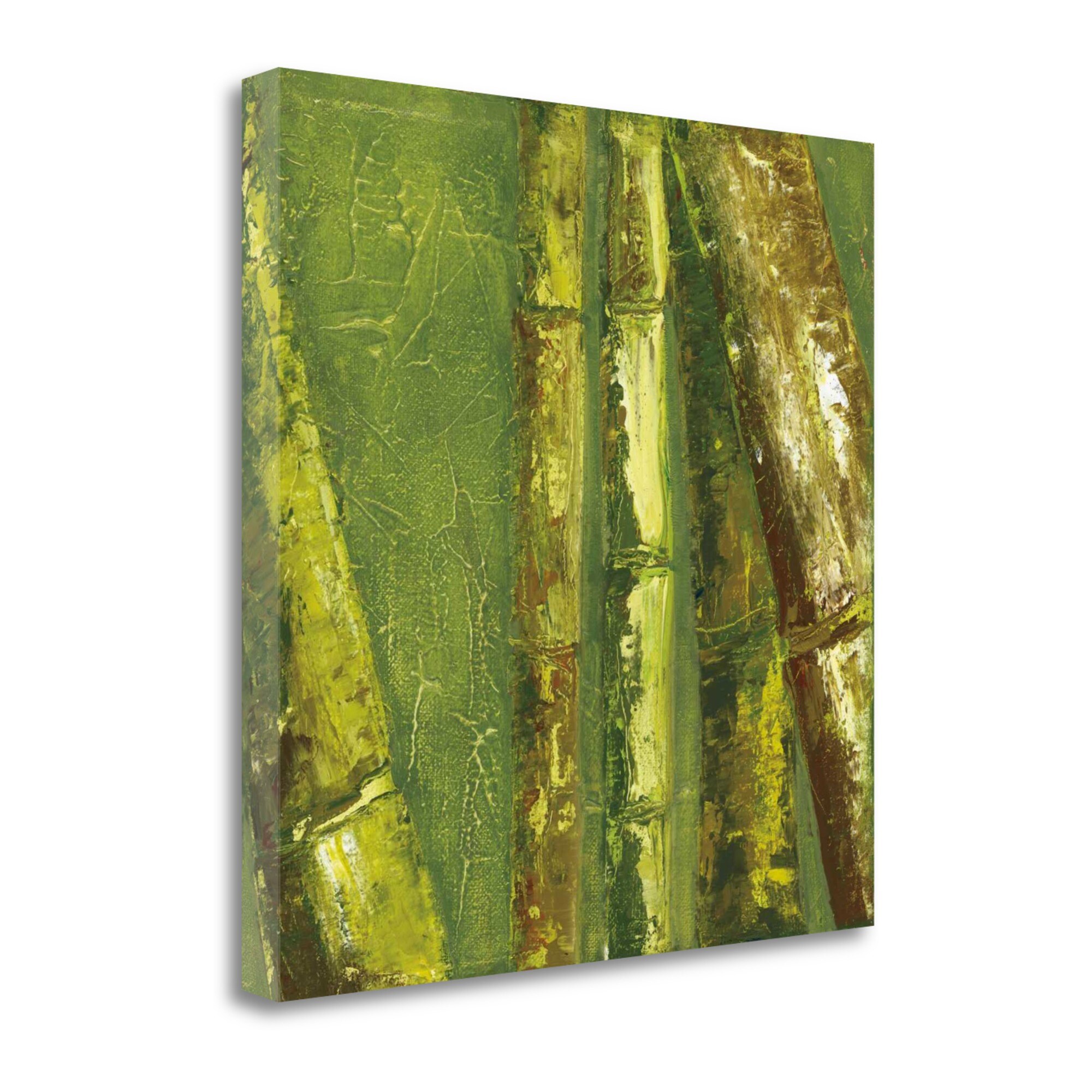 Tangletown Fine Art Bamboo Columbia I Tita Quintero 30-in H x 30-in W ...