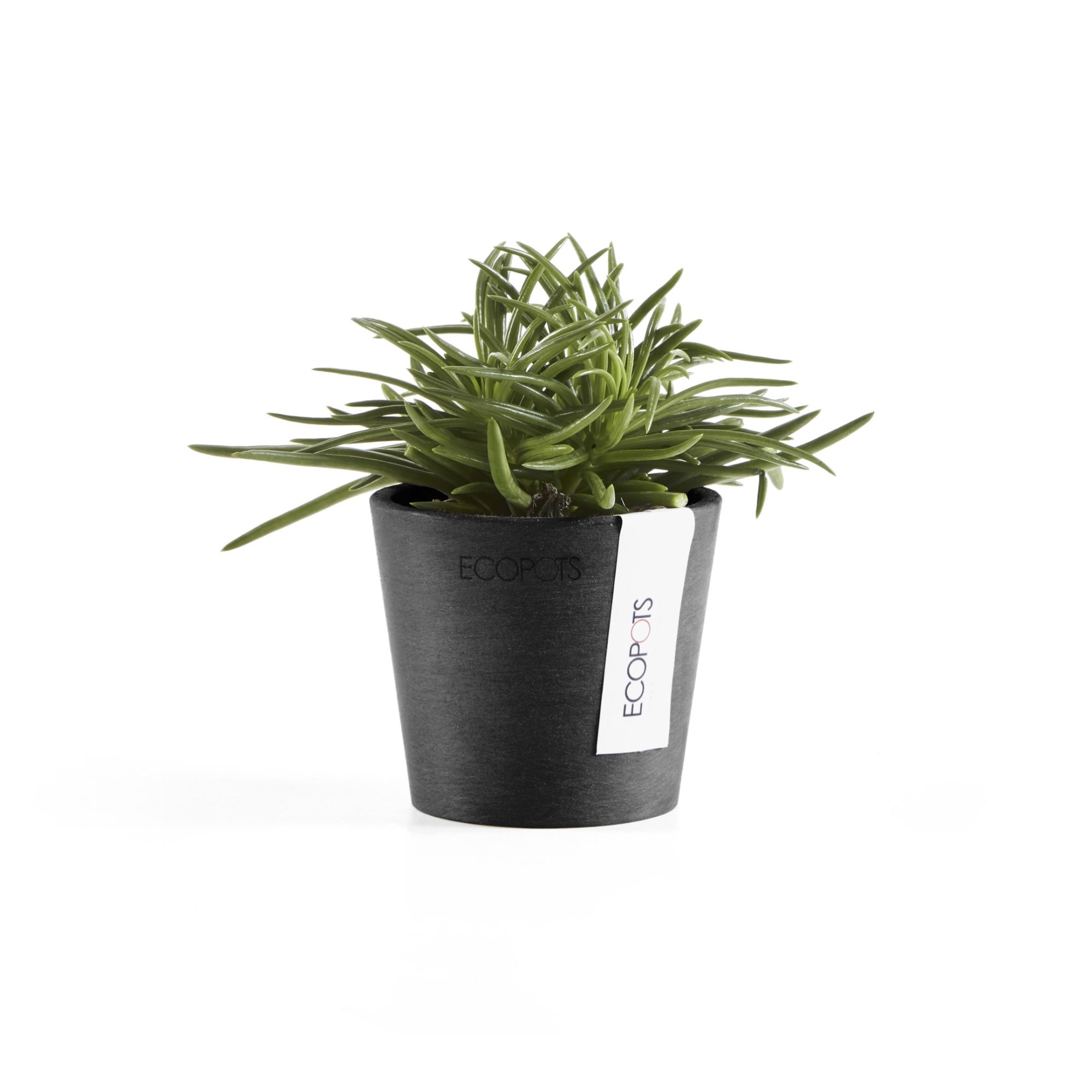ECOPOTS Amsterdam Mini Modern Round Recycled-Based Composite Flower Pot ...