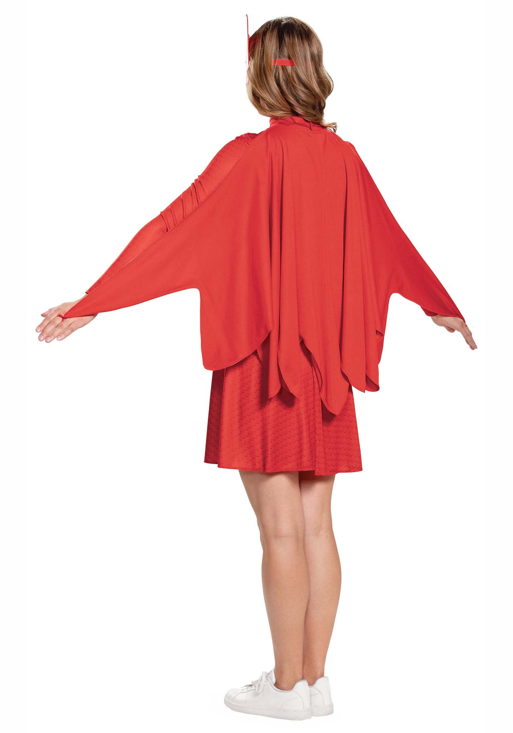 Disguise PJ Masks Women's Owlette Classic Costume PJ Masks Costumes X ...