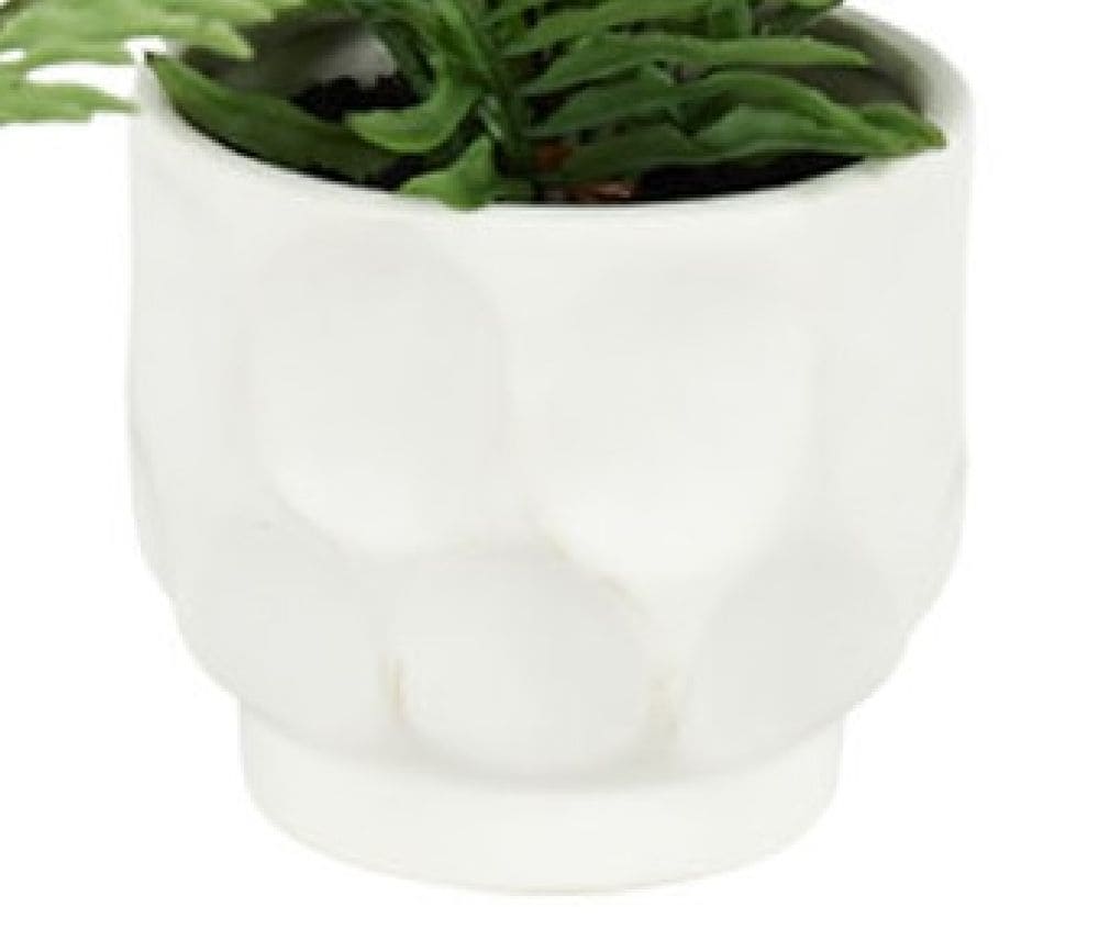 allen + roth 6-in Green Indoor Desktop Fern Artificial plant in the ...
