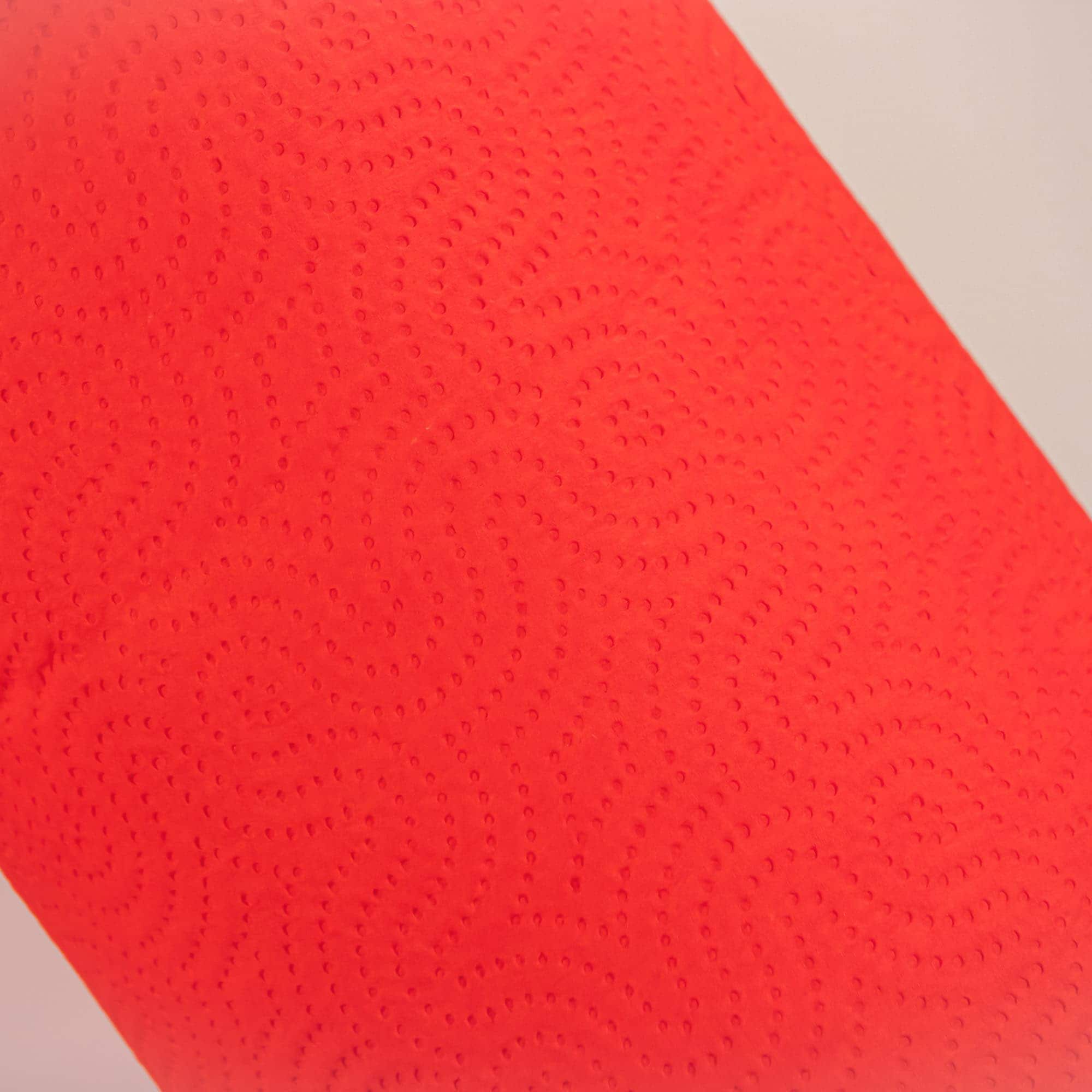 EVIDECO FRENCH HOME GOODS Renova Red Compact Paper Towel Rolls - 2-Pack ...